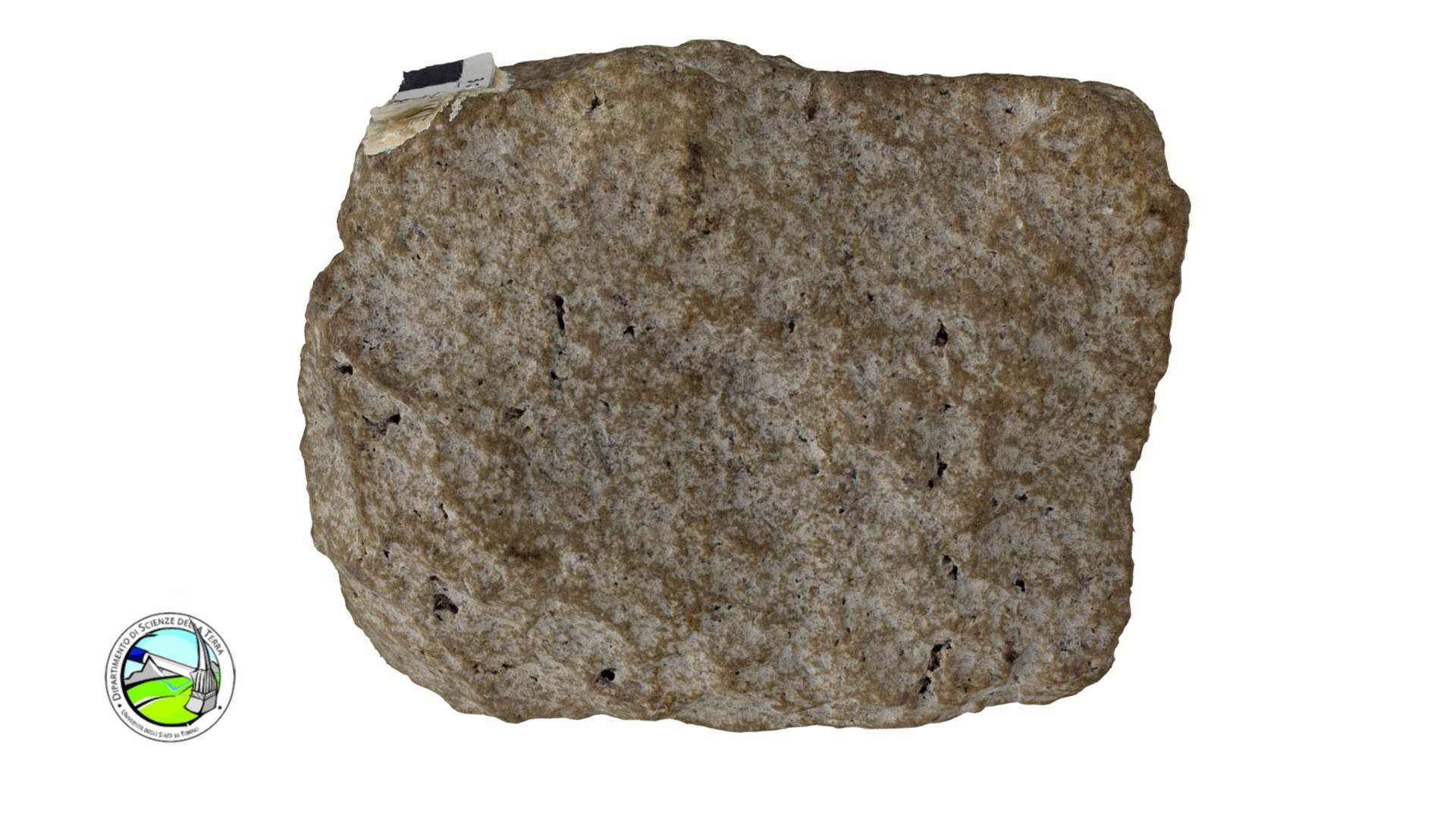 V6 - Feno-riolite porfirica - 3D model by Dipartimento di Scienze della ...