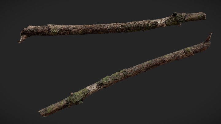 Moss 3D models - Sketchfab