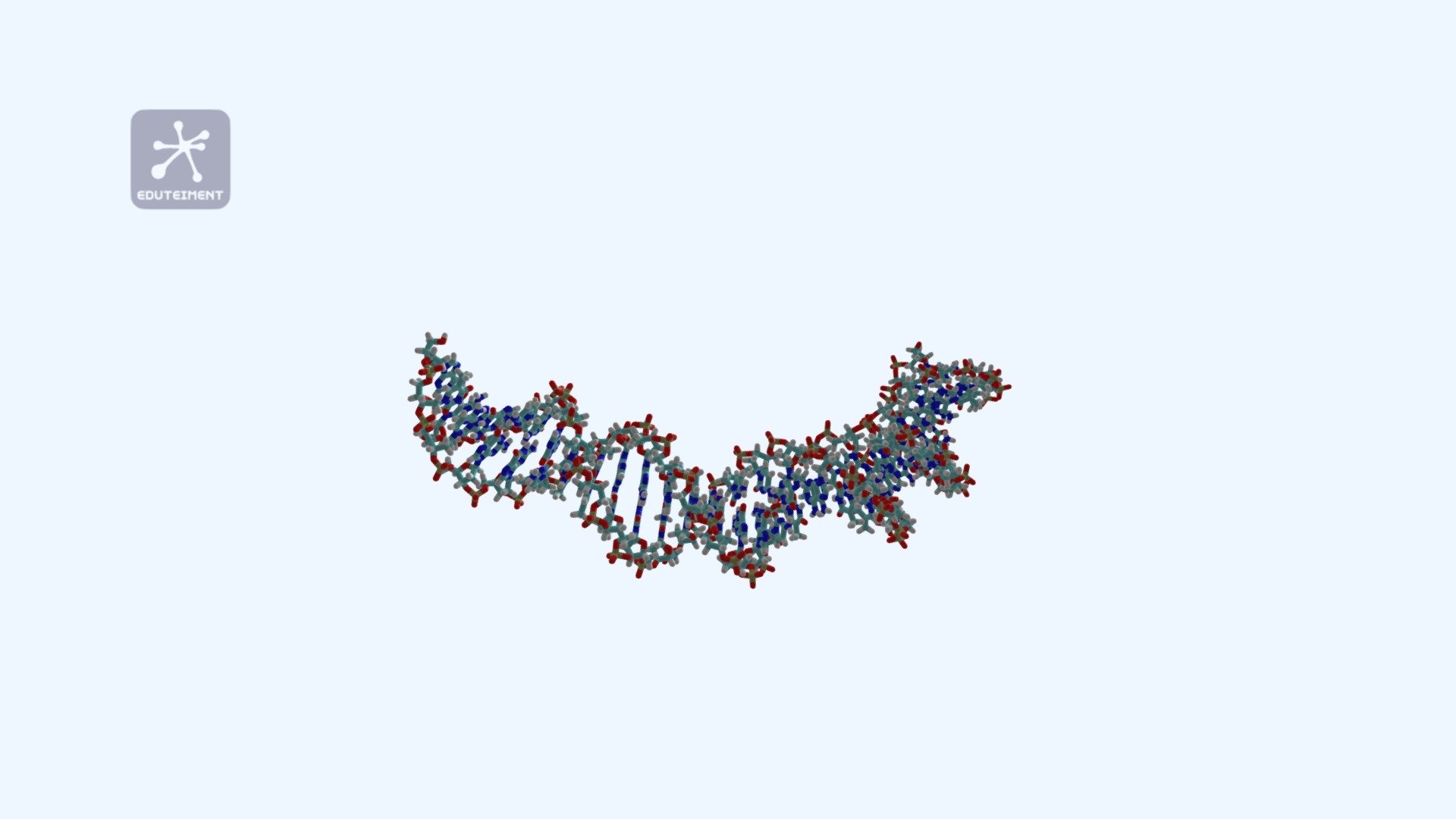 Modelo molecular de ADN - 3D model by Eduteiment (@camiloislas ...