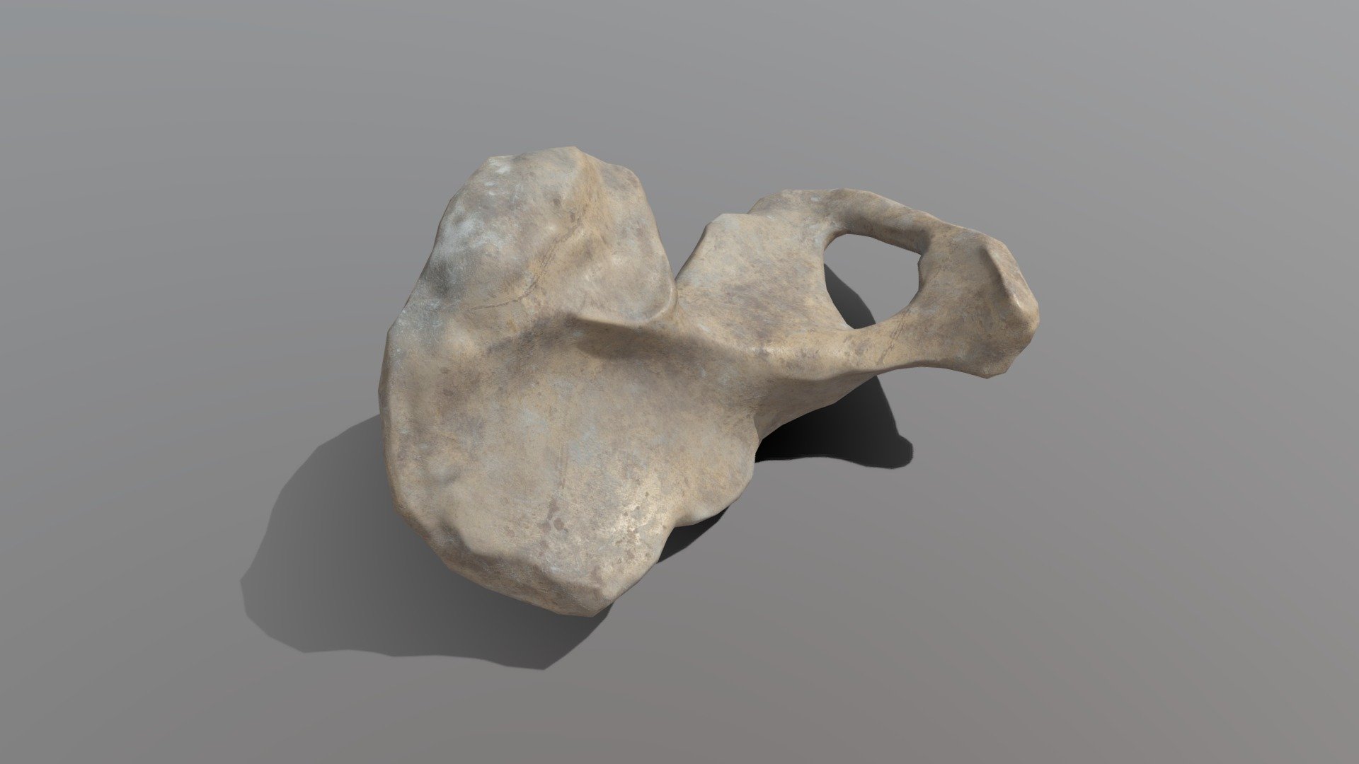 Low Poly Human Pelvis Bone - Download Free 3D model by Arthur.Zim ...