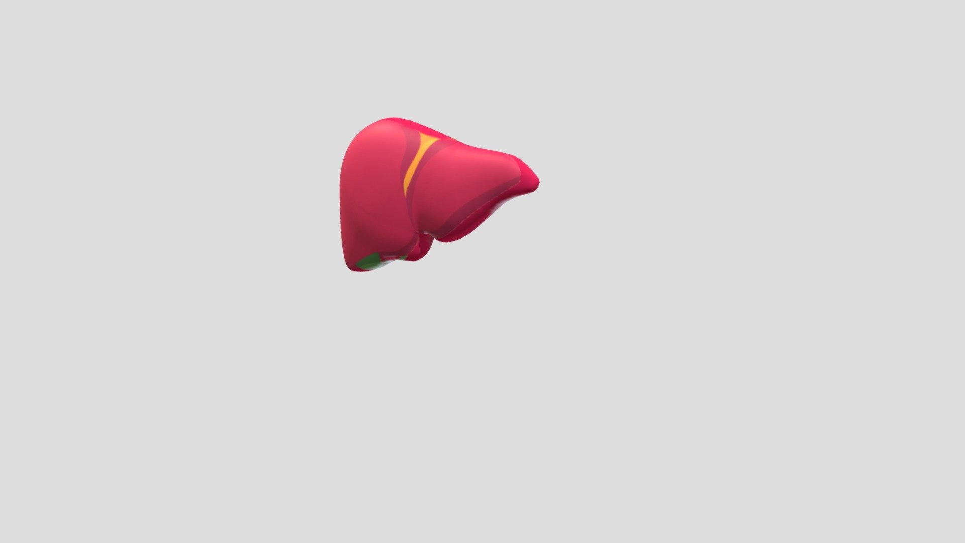 Liver - Download Free 3D model by silversuede [ed987ea] - Sketchfab