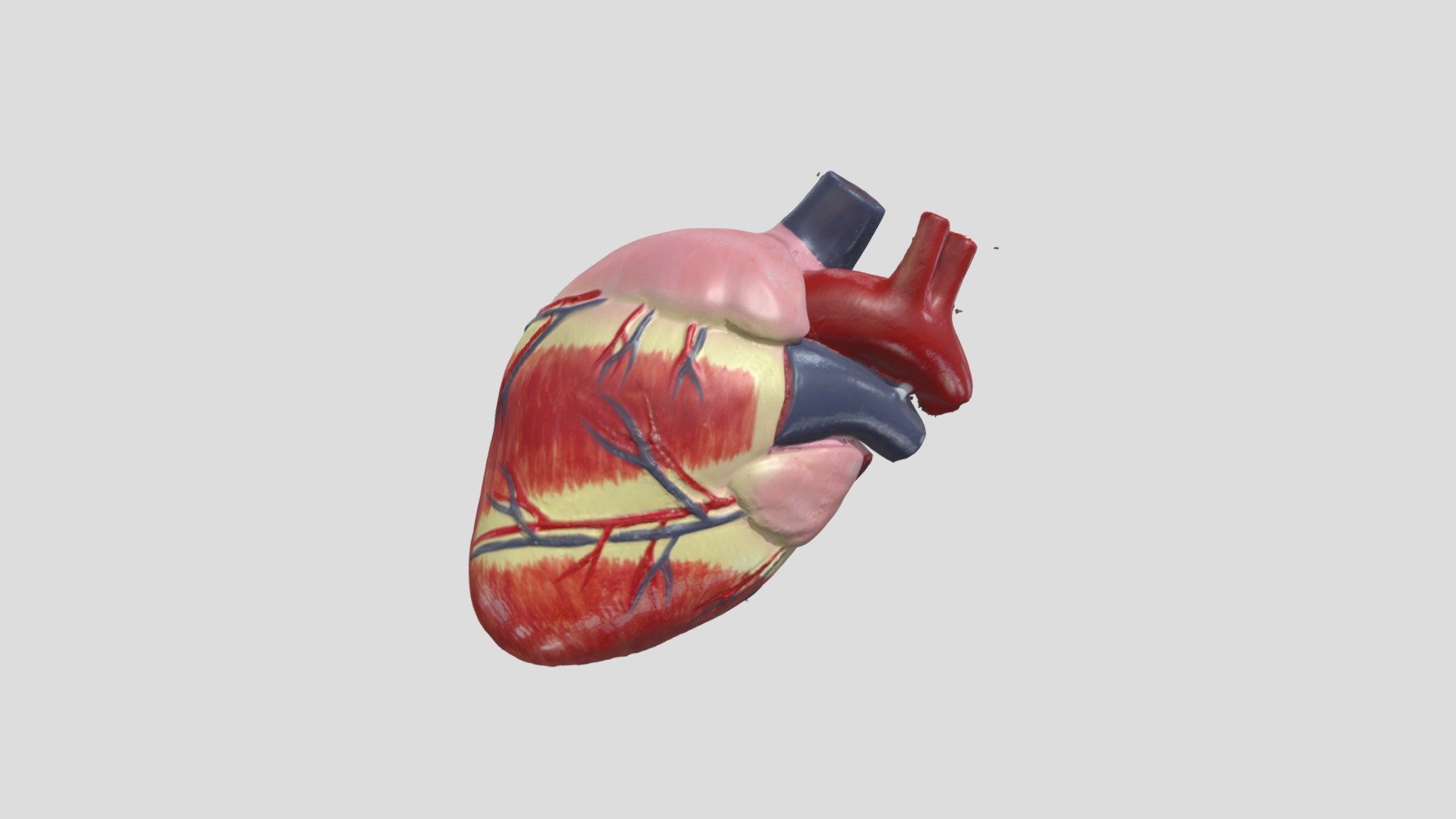 Heart Full - 3D model by oatakung [ed9c418] - Sketchfab