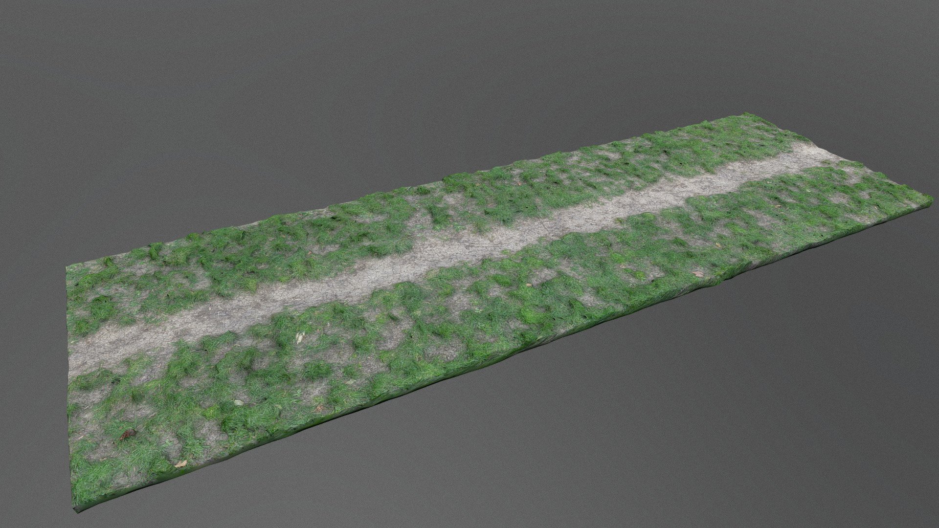 Dusty foot path way in grass garden - Download Free 3D model by ...