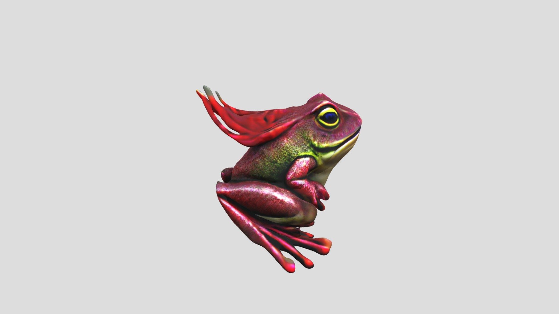 Red frog, stylized. - Download Free 3D model by Kabalsab [edb027b ...