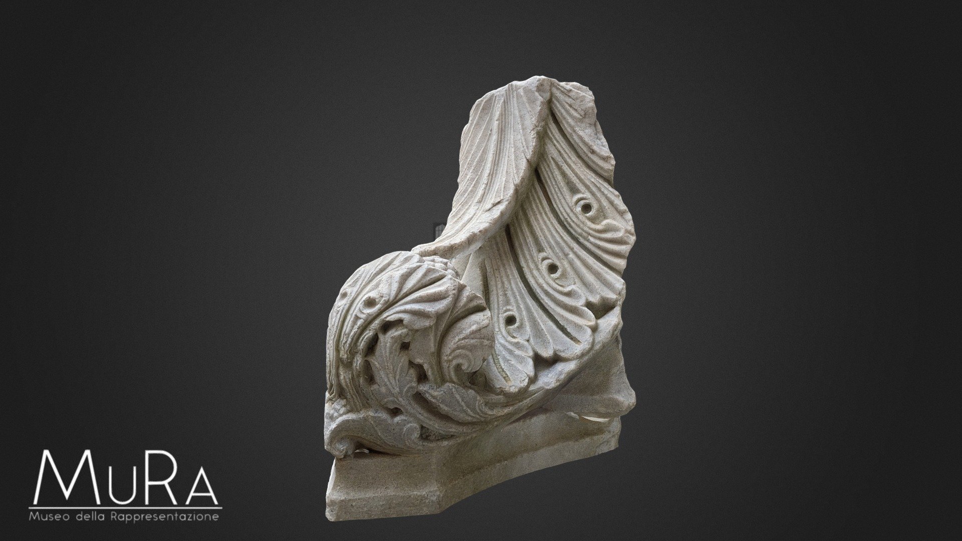 Voluta - 3D model by MuRa_CT [edb2959] - Sketchfab