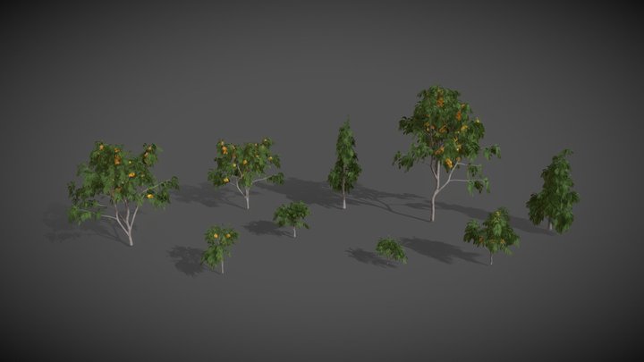 Ashoka-tree 3D models - Sketchfab