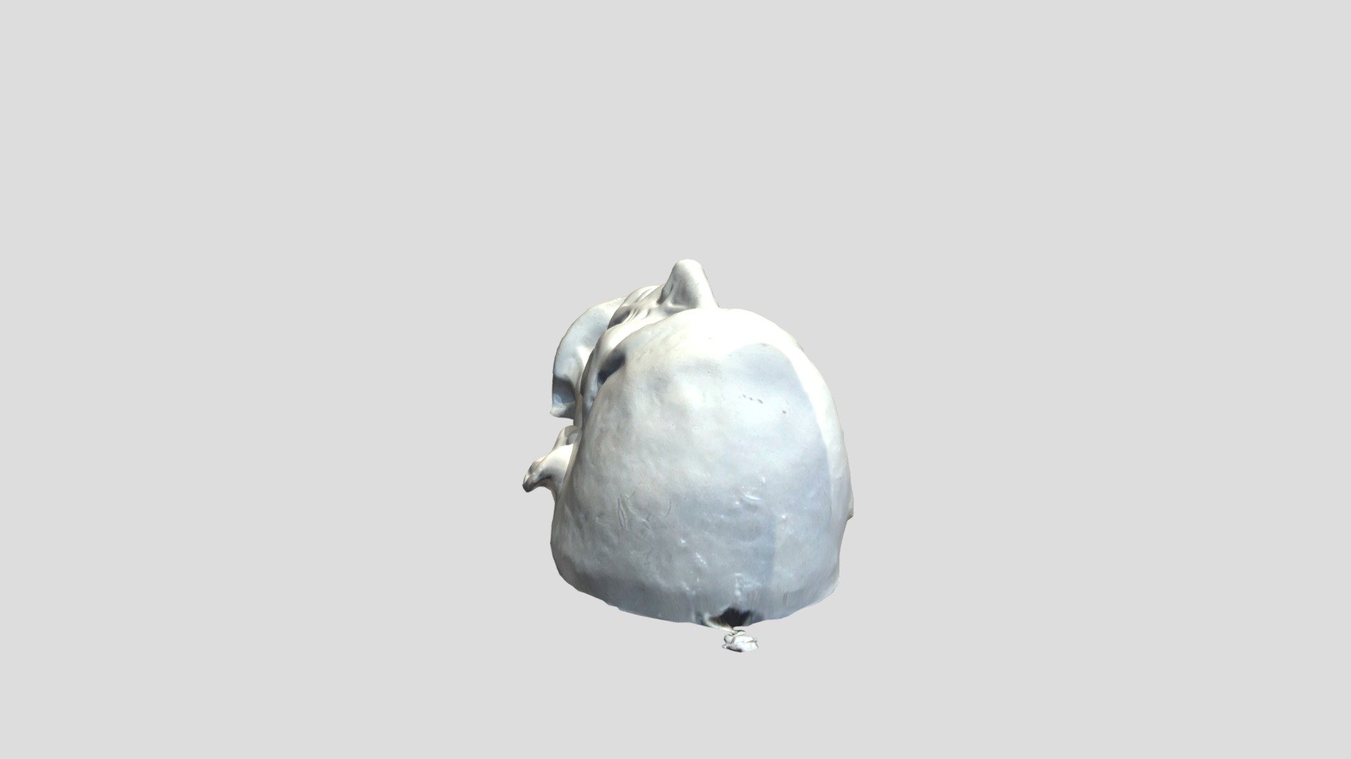 ecorche head - 3D model by Moyogash [edbdfcb] - Sketchfab