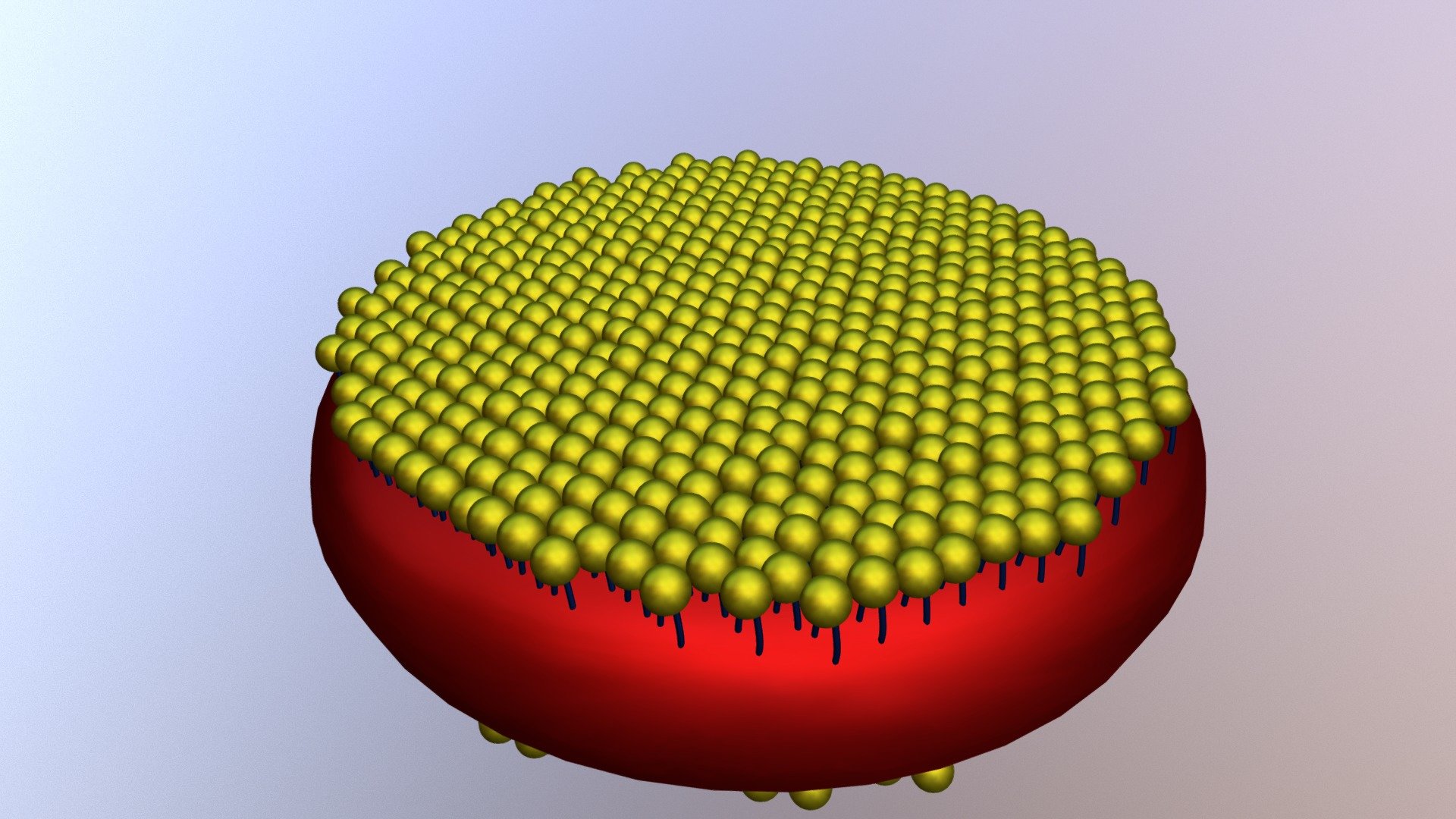 Polymer_Nanodisc - 3D model by tirub4upati [edbf35f] - Sketchfab