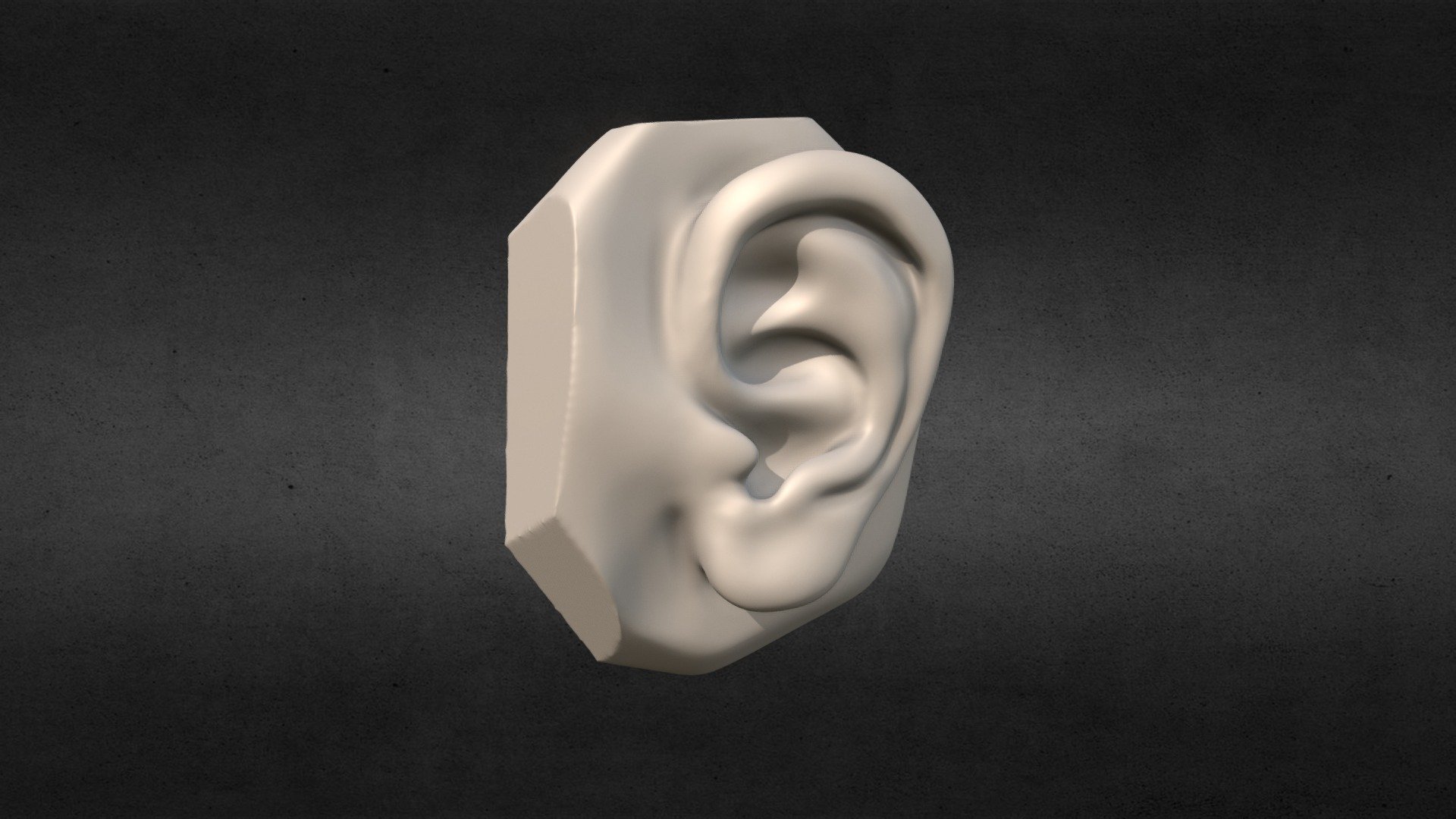Anatomical reference for artists - EAR - Buy Royalty Free 3D model by ...