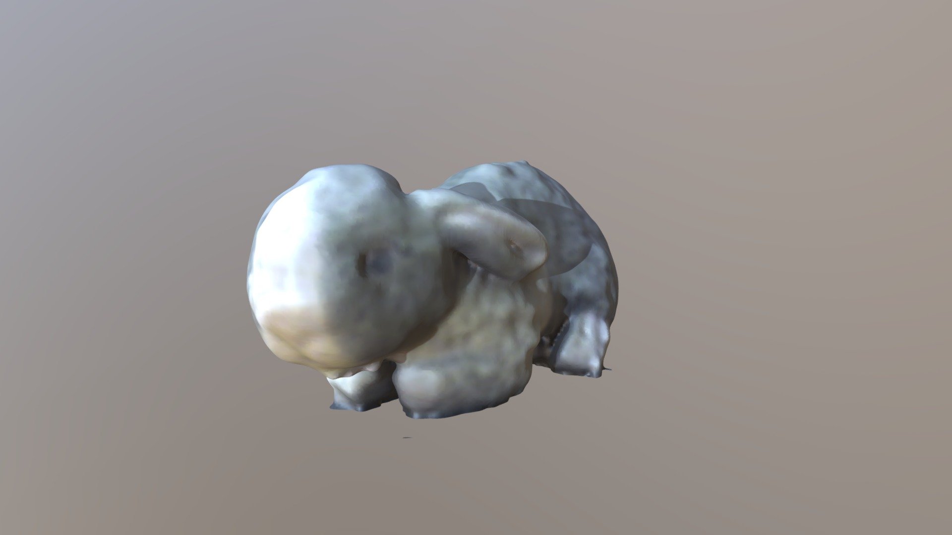 Bun - 3D model by Kenny (@trevthegenius) [edc8833] - Sketchfab