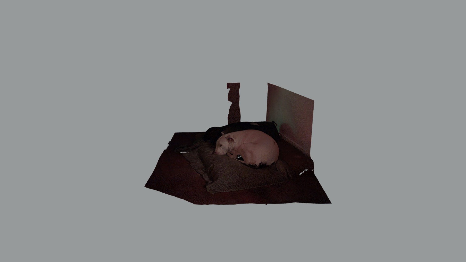 Puppies - Download Free 3D model by anothertarallo [edc8ae9] - Sketchfab
