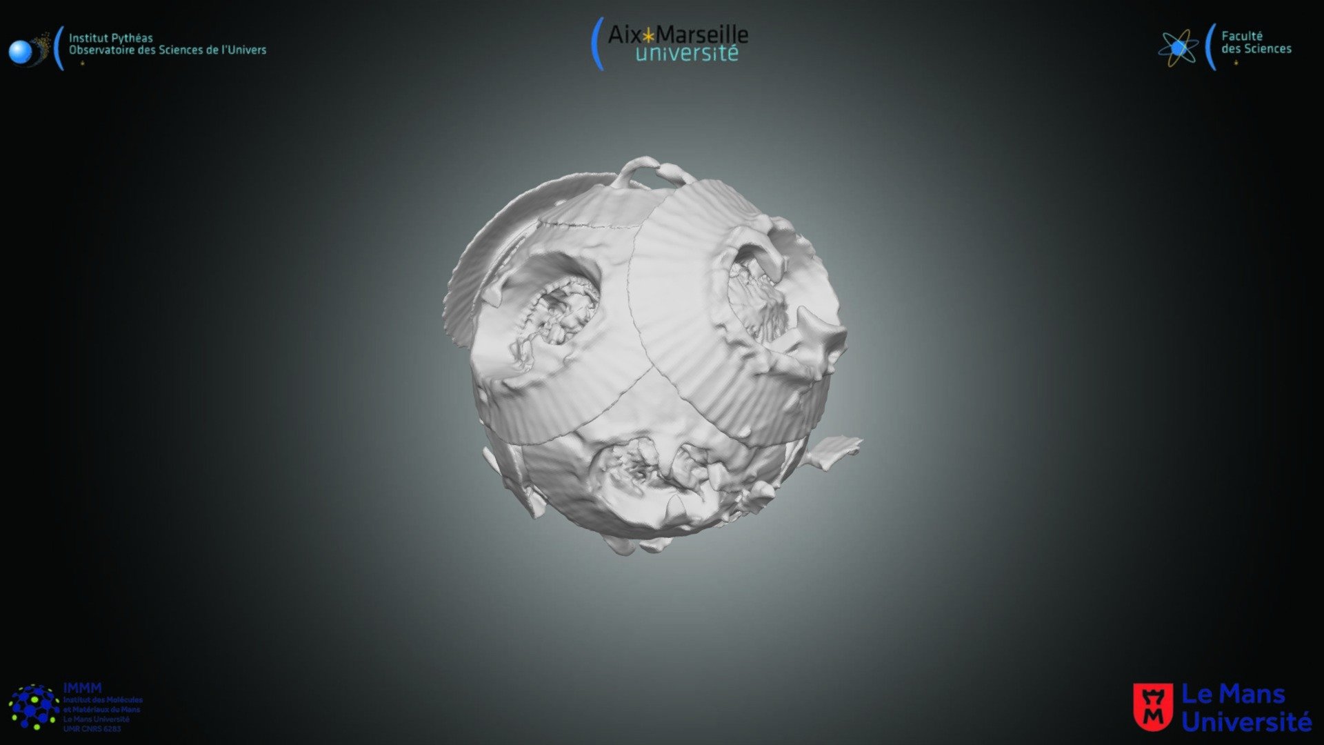 Coccolithophoridé - G.oceanica coccosphère - Download Free 3D model by ...