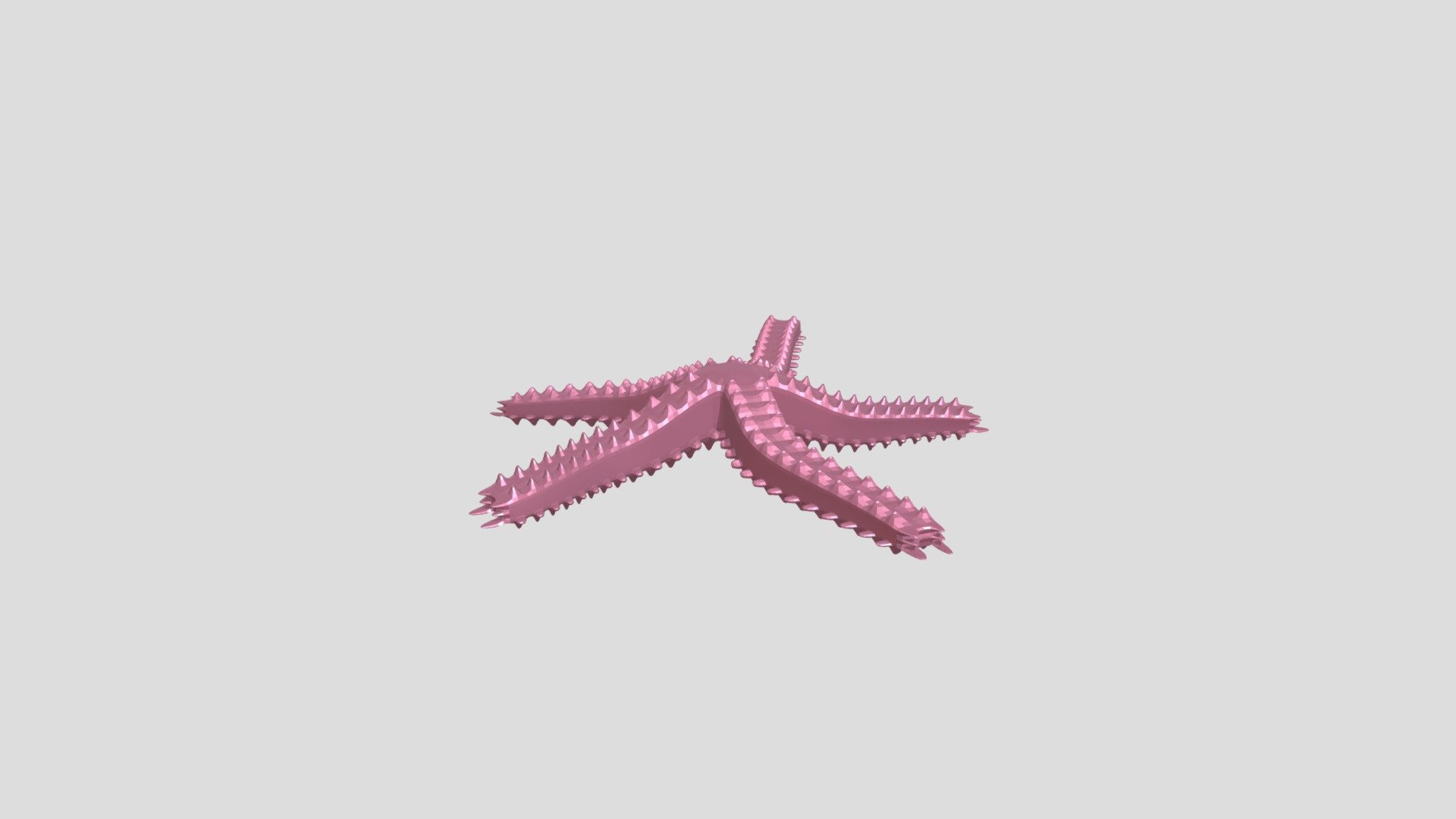 Starfish - 3D model by EduAl [edcfbaf] - Sketchfab