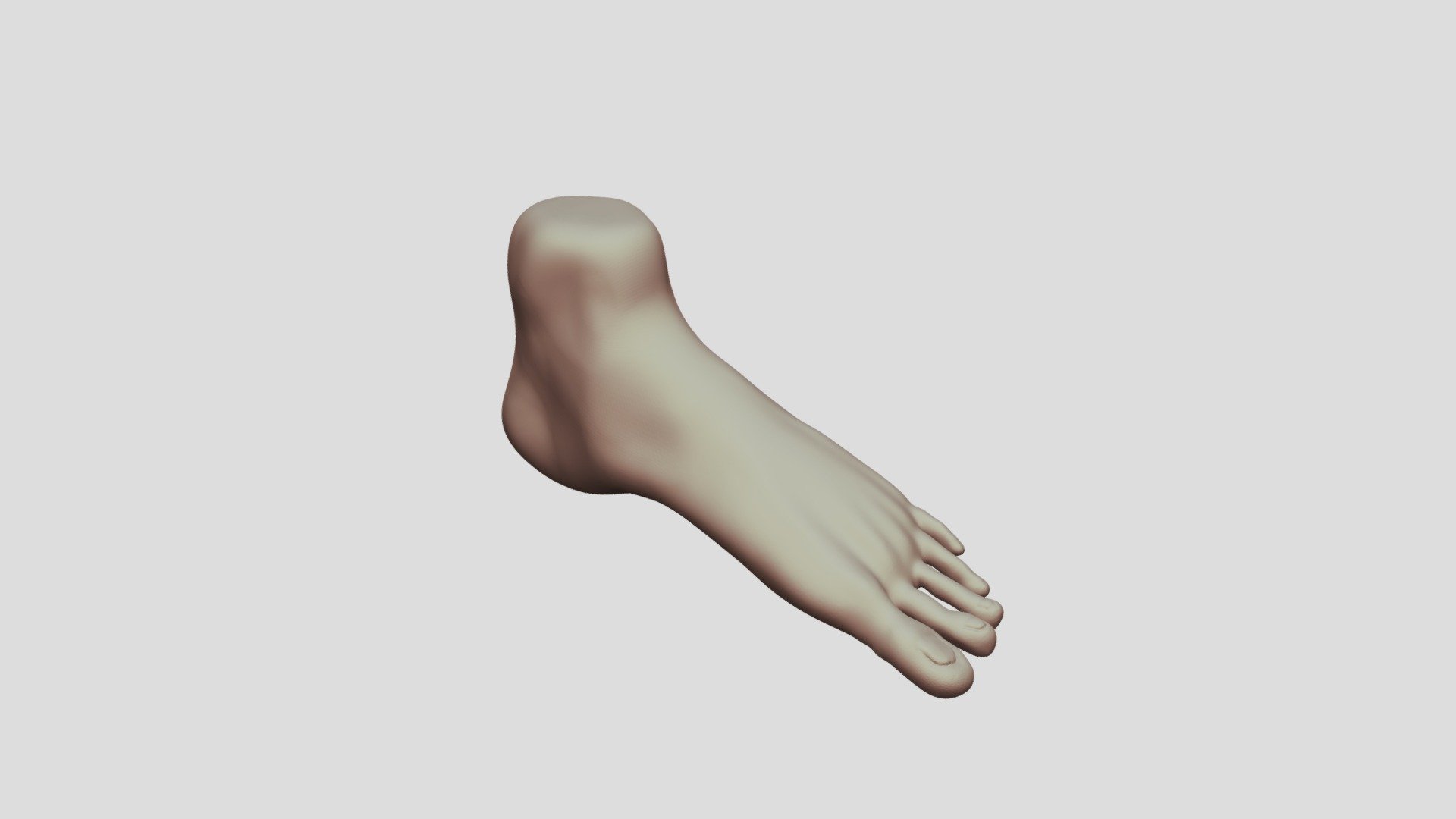 Foot - Download Free 3D model by Vikrama Raghuraman (@vikrama1998 ...