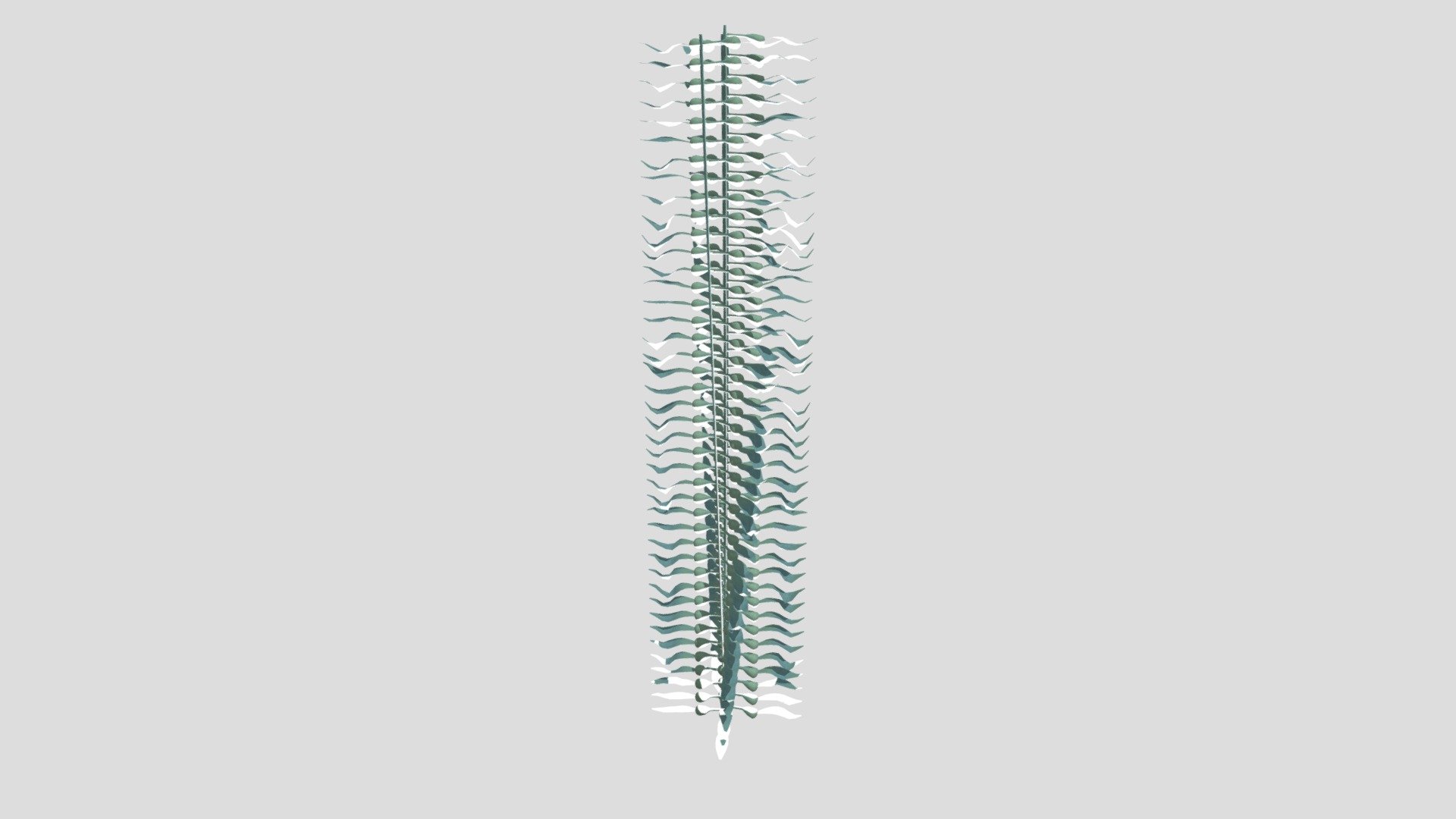Kelp Foliage - Download Free 3D model by pmruiz-wilson [edd3316 ...
