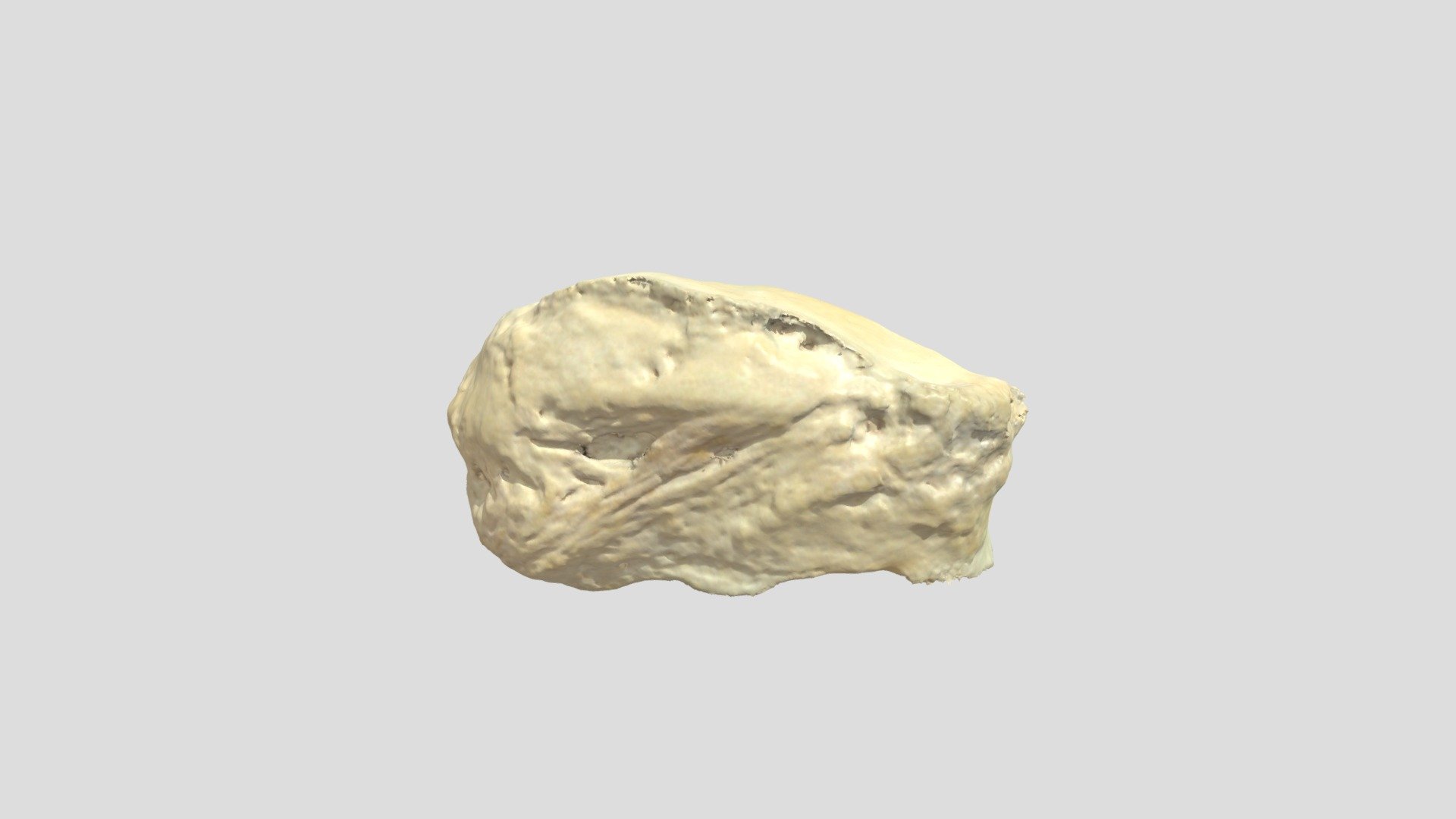 Os Naviculare R - 3D model by AnatomyUgent (@emaudena) [edd4daa ...