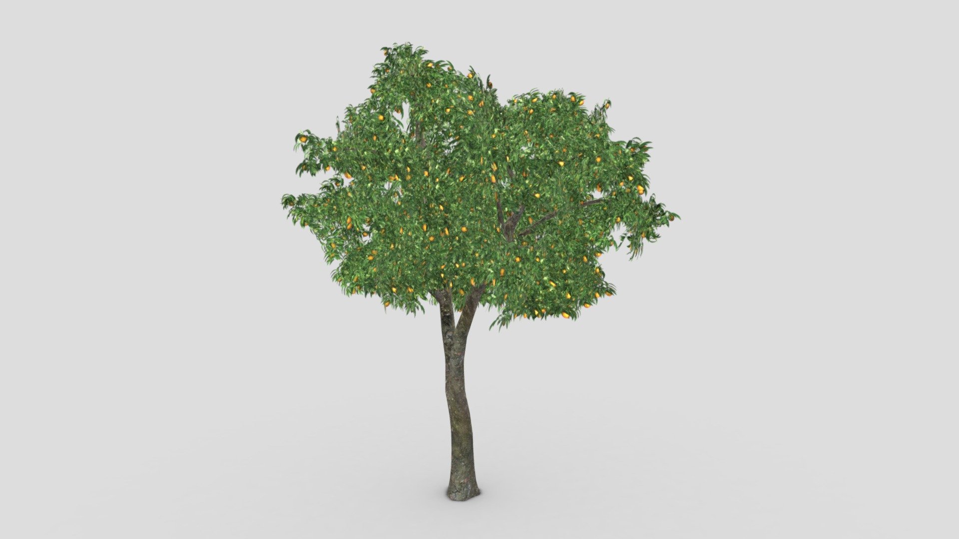 Orange Tree- S16 - Buy Royalty Free 3D model by ASMA3D [edd6f29 ...