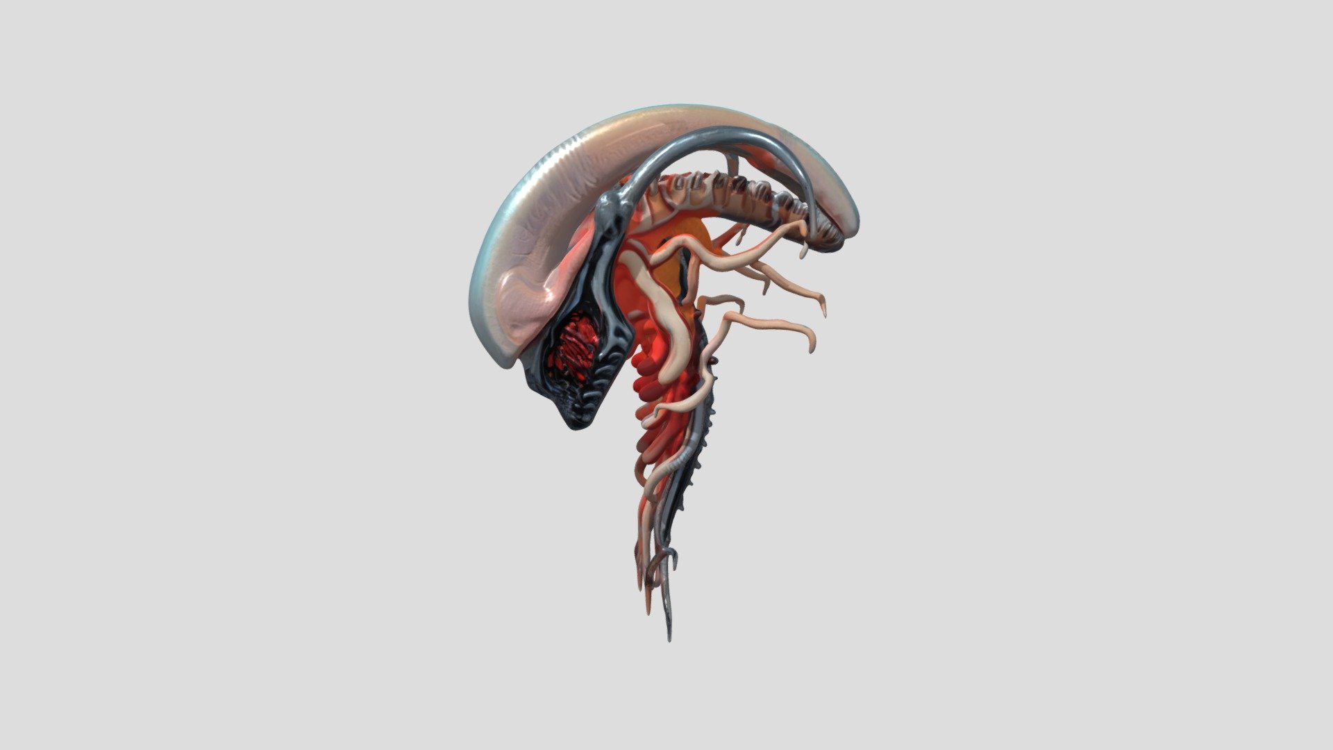 Xeno Creature 9 - Buy Royalty Free 3D model by Daniel.Pikl [ede6754 ...