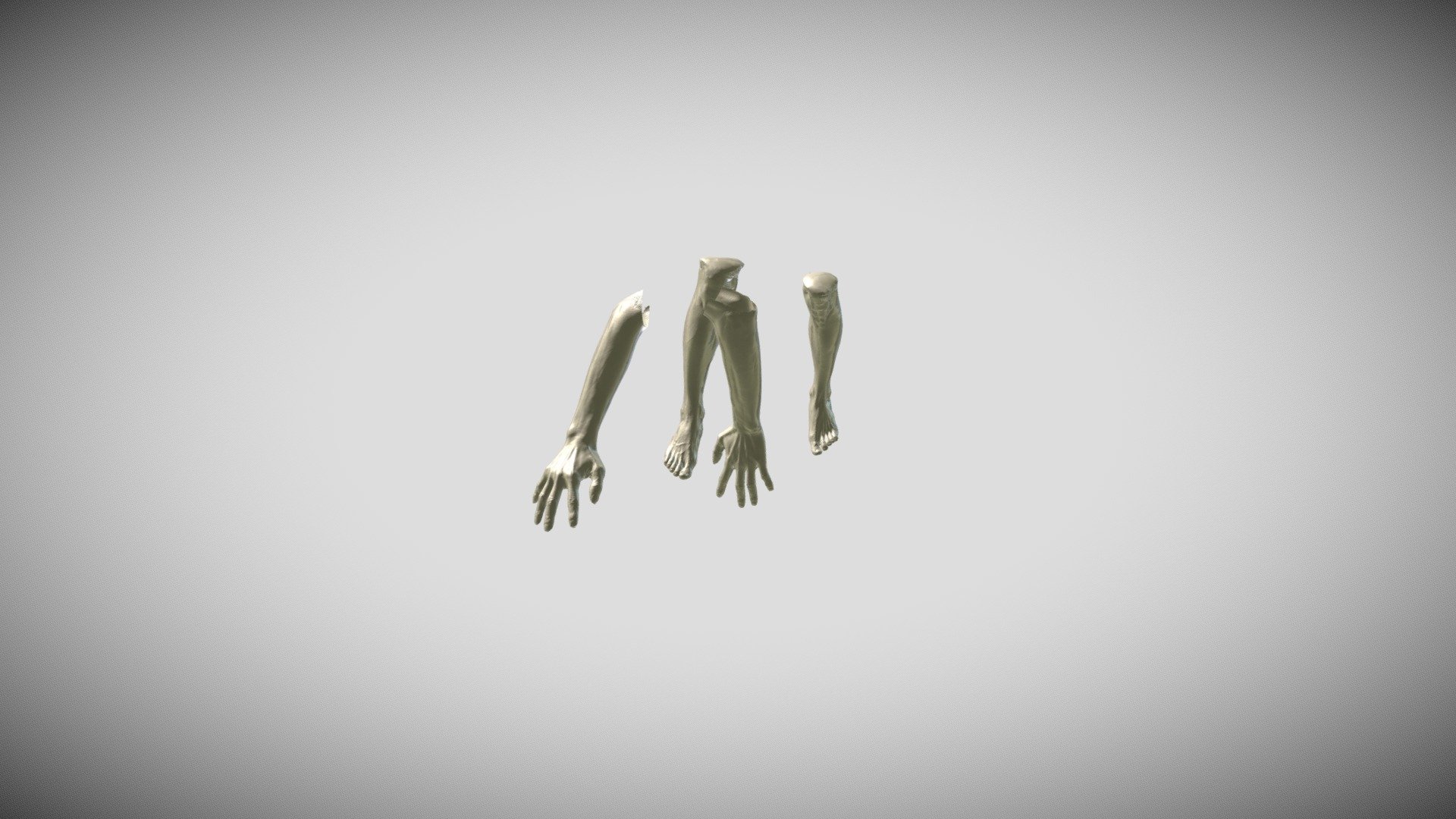 Hand Arm leg foot - 3D model by thunk3d.scanner [ede781b] - Sketchfab