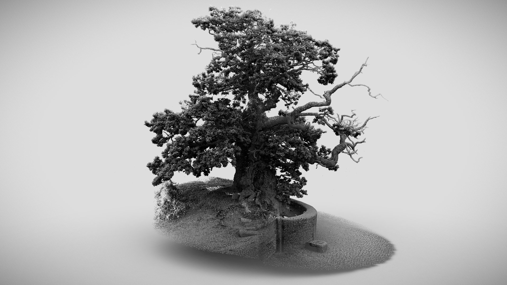 Darley Oak, Bodmin Moor - 3D model by SCATTER (@SCATTER.project ...