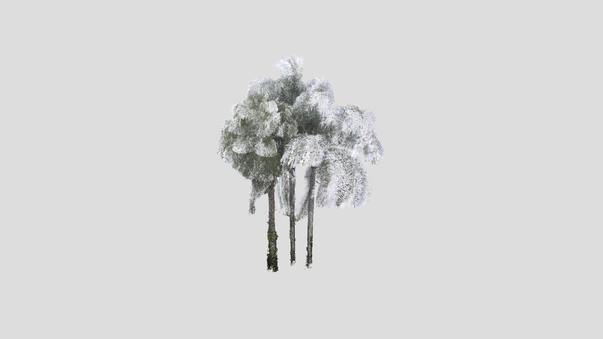 Tree Point Cloud - Buy Royalty Free 3D model by magnum_opus (@tree ...