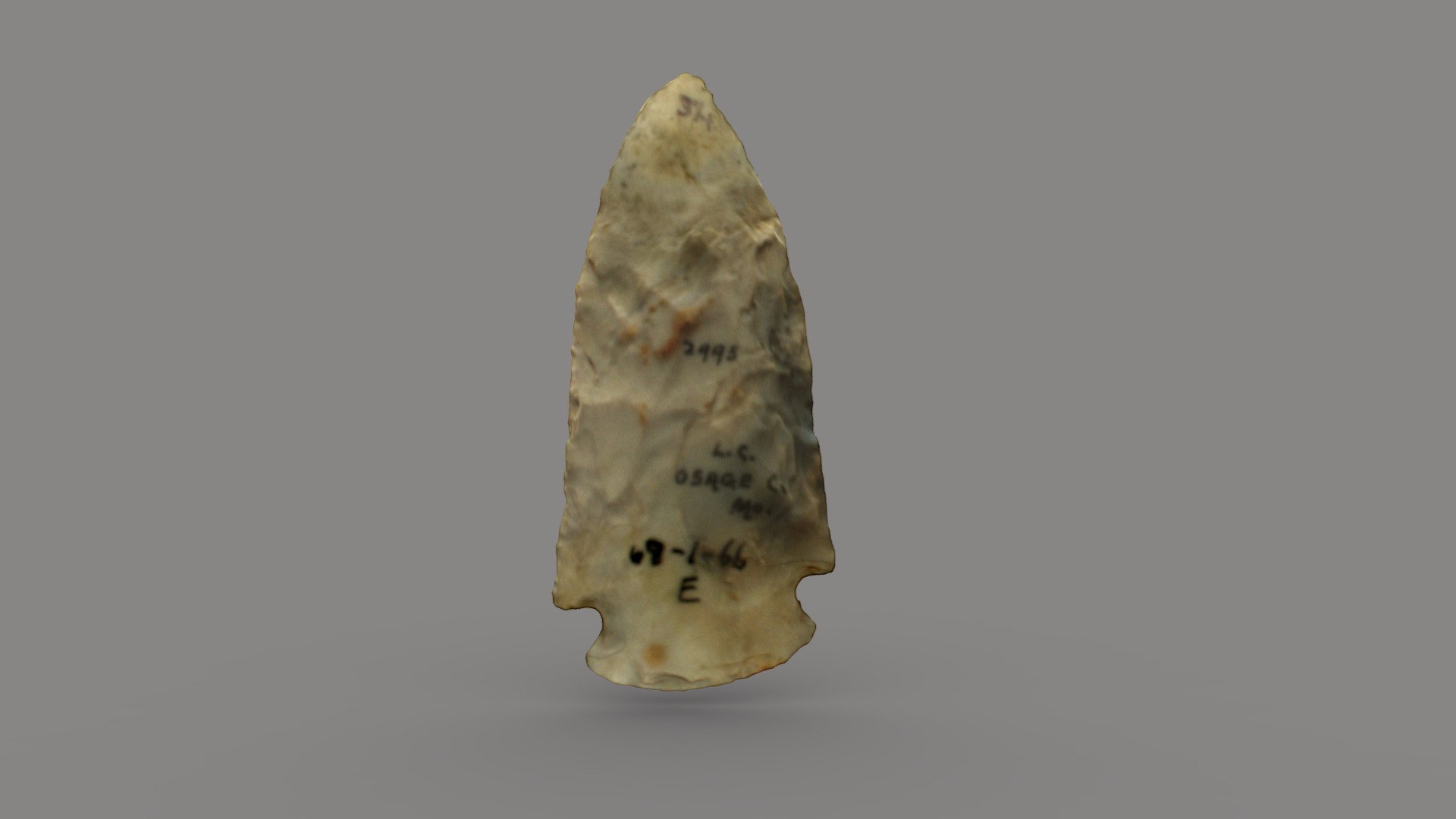 Projectile Point - 3D model by The Herring Run Archaeology Project ...