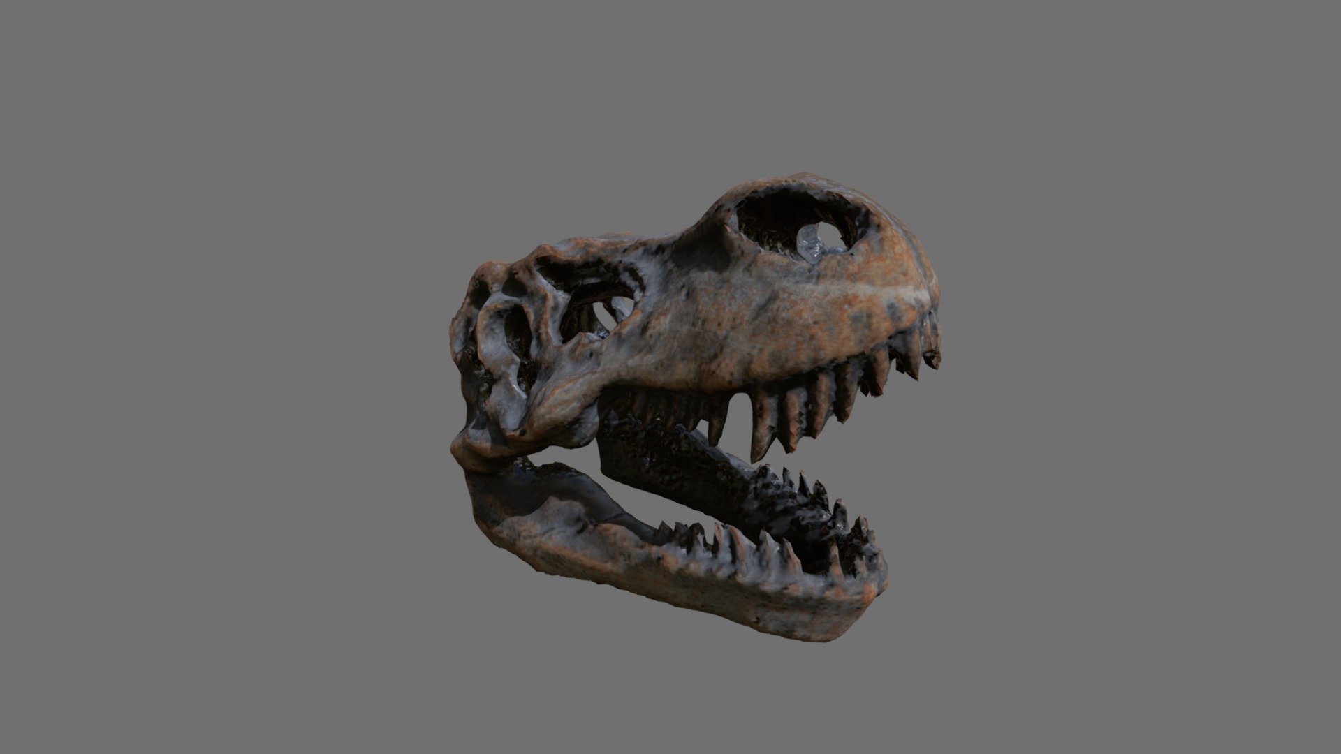 t_rex-1LP - Download Free 3D model by vanderfraenen-james [ee032b2 ...