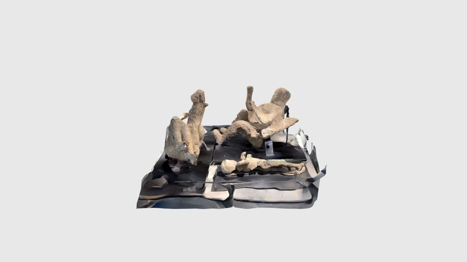 Pompei - Body Casts 2 - Download Free 3D model by Crazymaverickdc ...