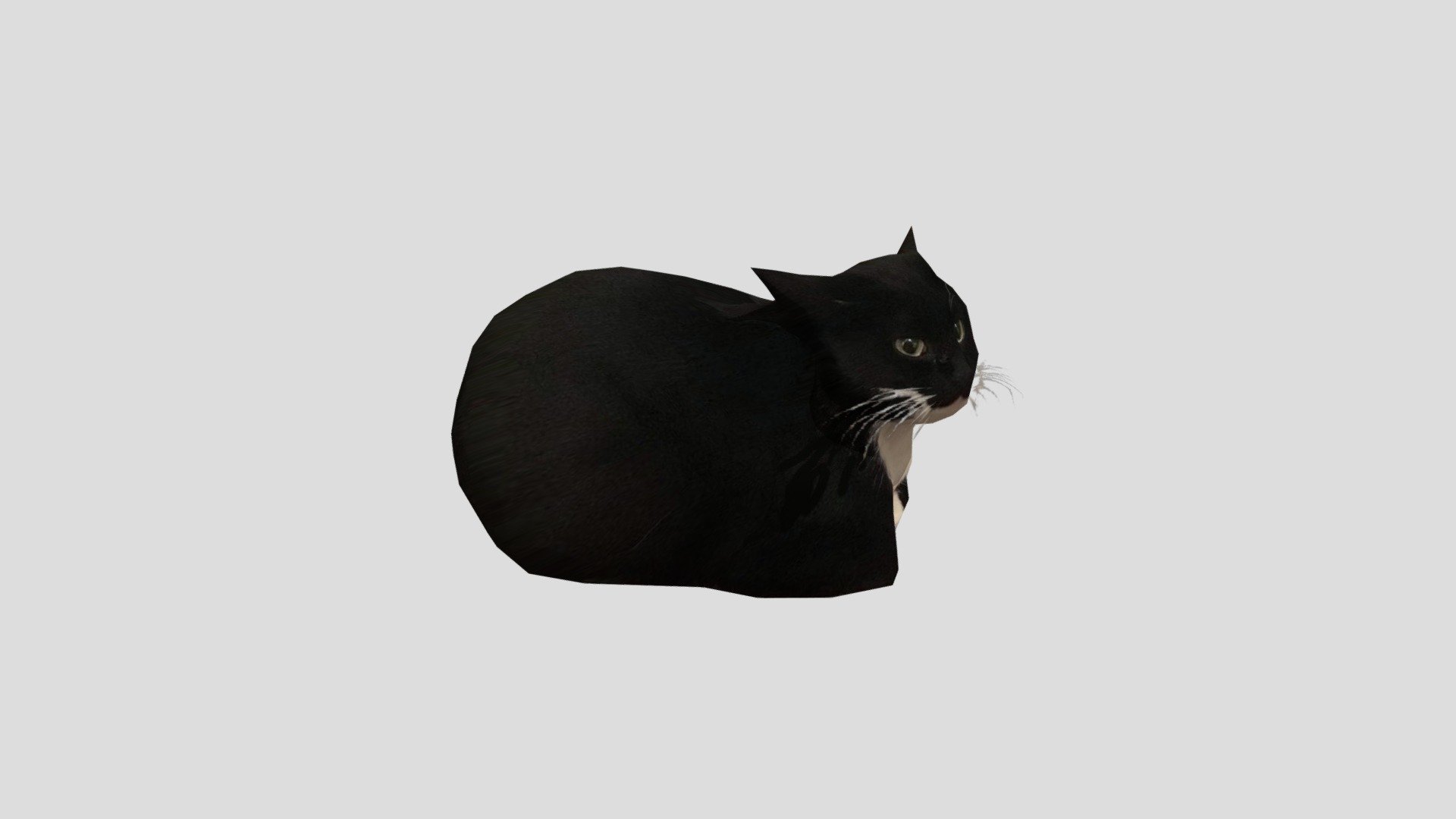 Maxwell The Carryable Cat - Download Free 3D model by ⛤ 💜 Certified ...