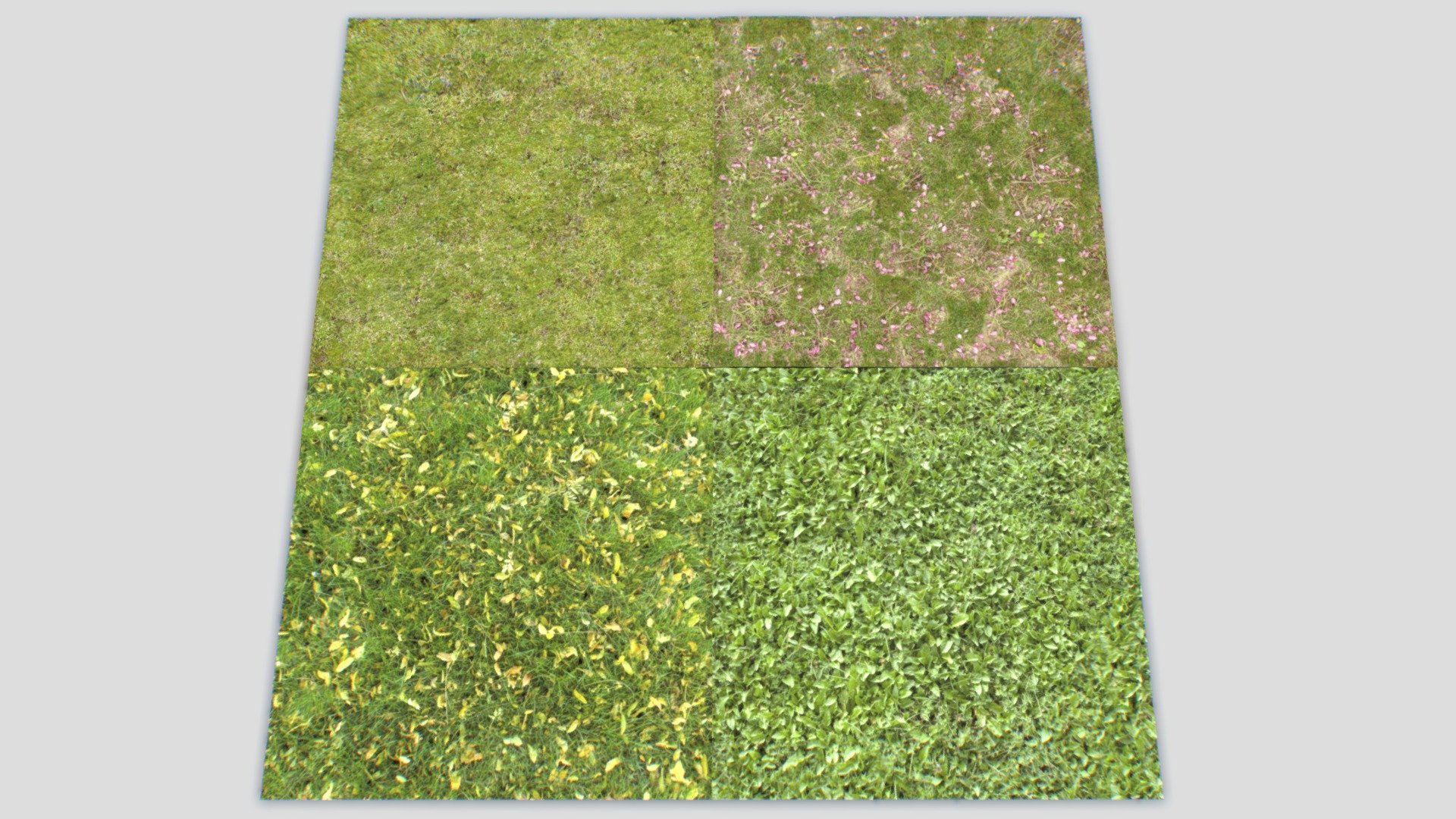 Forest Terrain Pack 20 Textures - Buy Royalty Free 3D model by 32cm ...