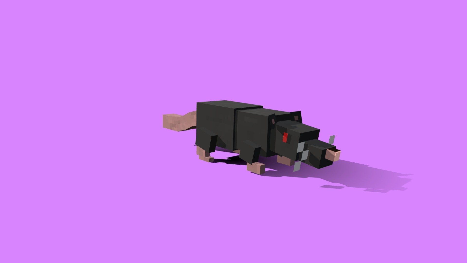 Rat - 3D model by Boulttyy [ee0f5fb] - Sketchfab