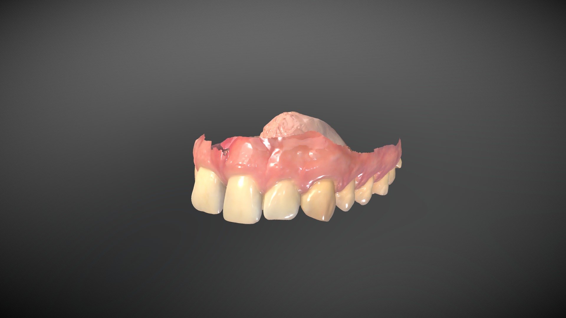 Upperjaw - 3D model by papaboo [ee1094d] - Sketchfab