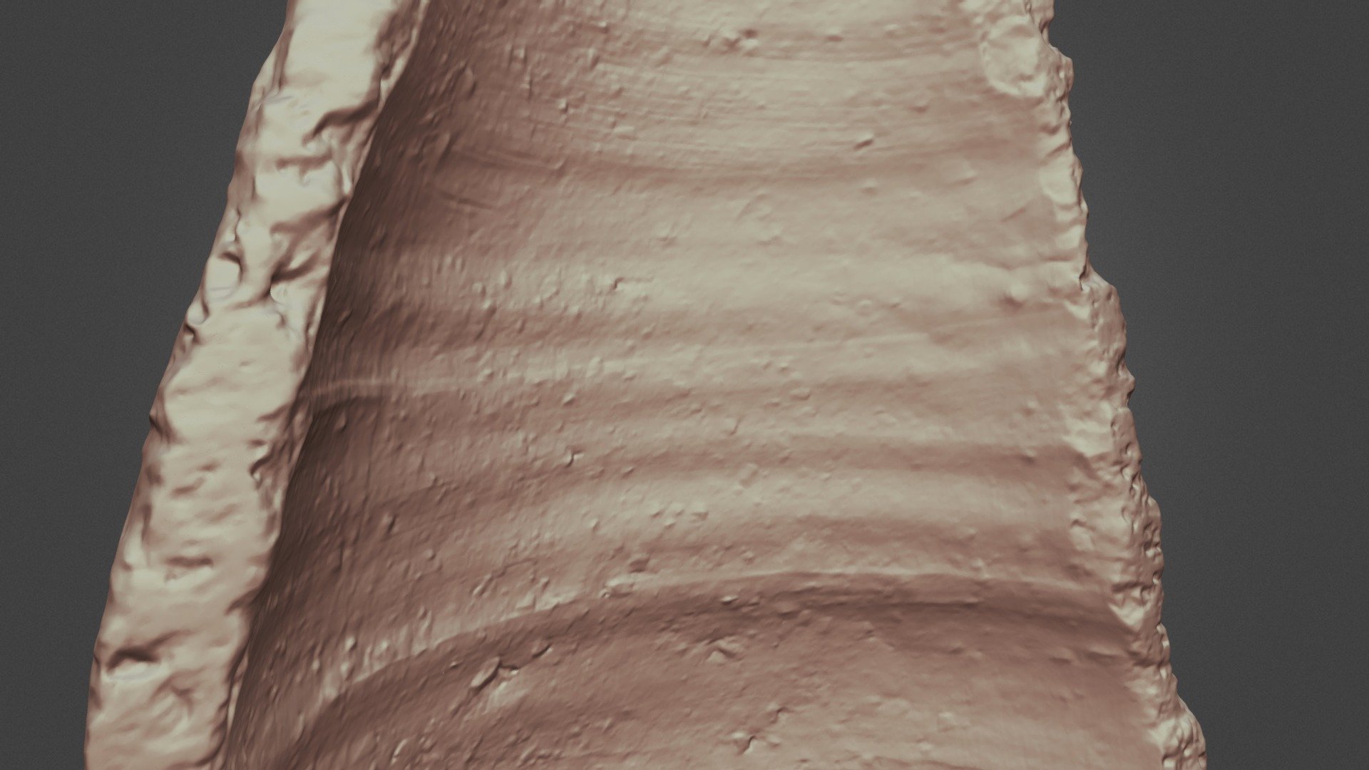 Concentric parallel ribbed striations - 15.6B - Download Free 3D model ...