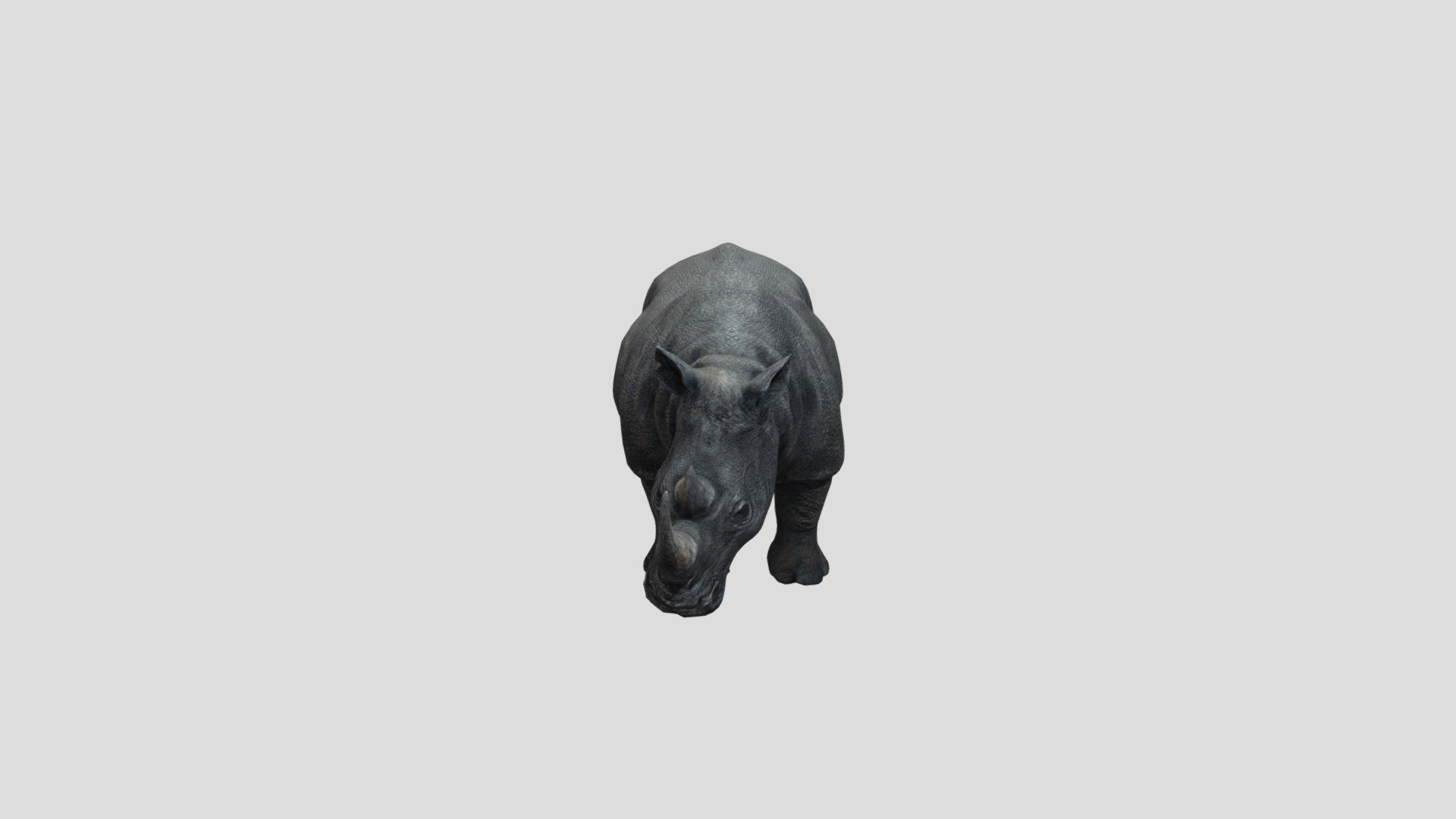 Rhino - Download Free 3D model by hendrikReyneke [ee11262] - Sketchfab