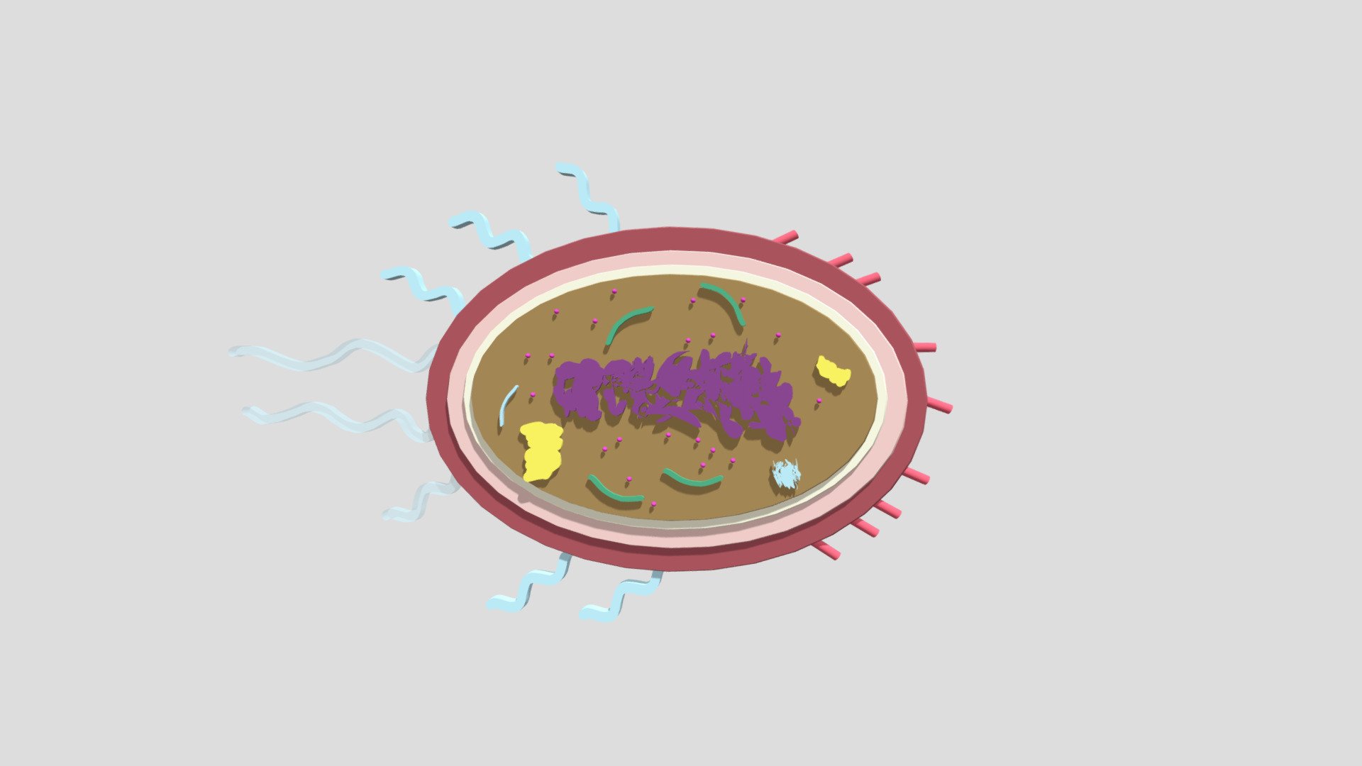 MICROUGHS_Salmonella Typhi_J.R.T.C - 3D model by Titanx123 [ee18b2e ...