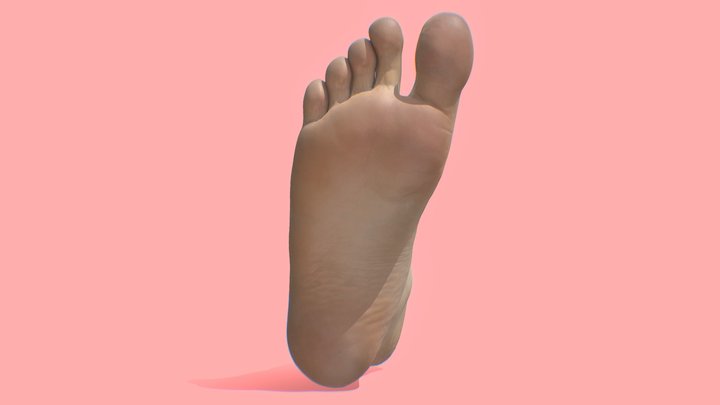 Art-reference 3D models - Sketchfab