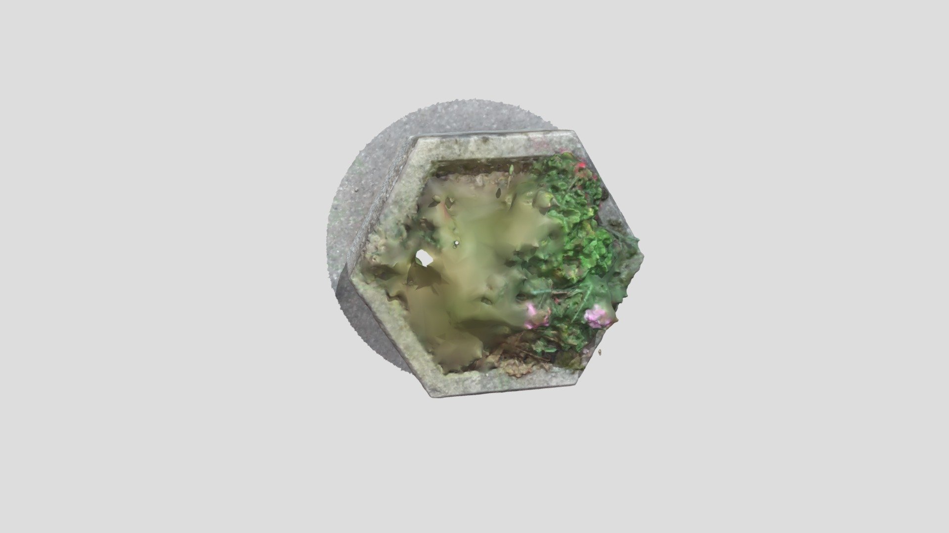 low quality outside plant box - 3D model by totalyhopless [ee2ad8f ...