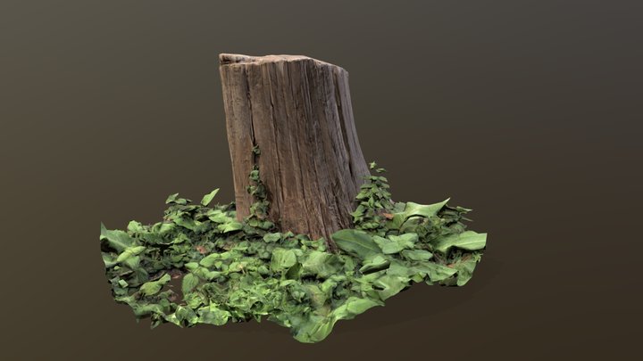 Stump 3D models - Sketchfab