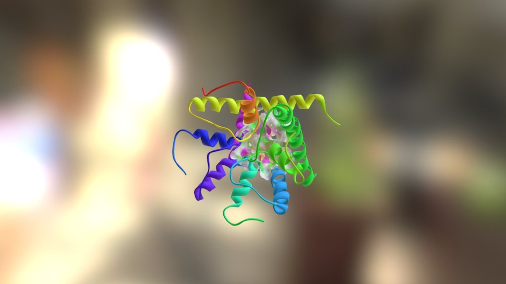 hERG model with Amiodarone (surface) - 3D model by tienluu [ee460ea ...