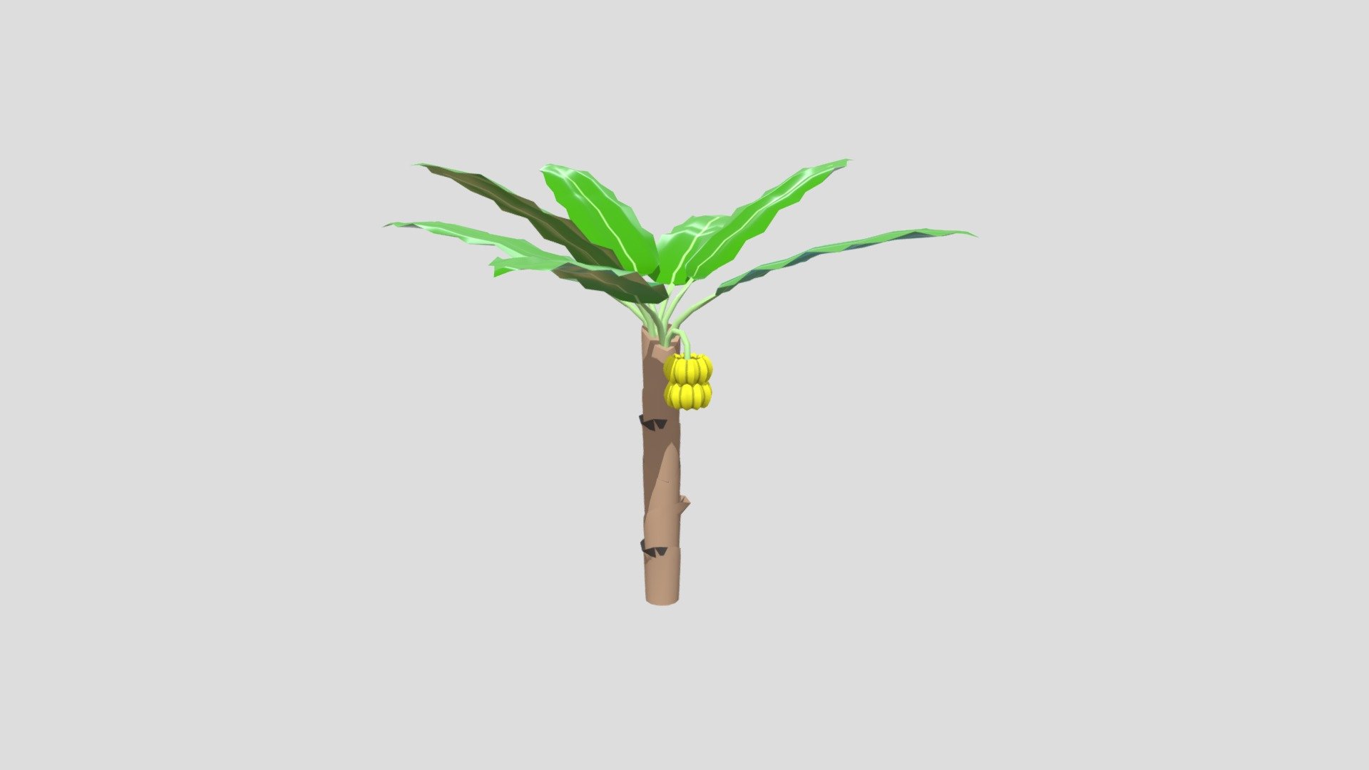 Banana Tree - 3D model by nbiglin [ee4a235] - Sketchfab
