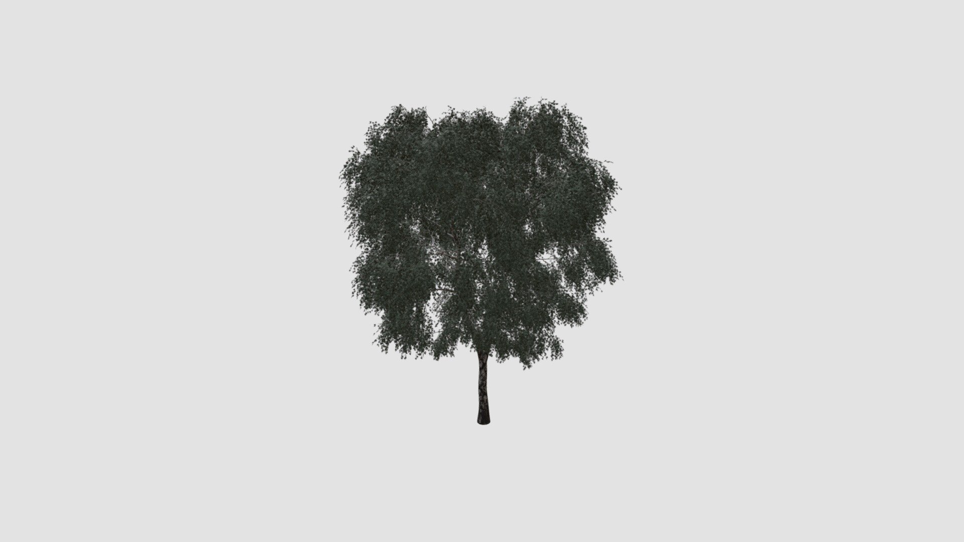 tree - Buy Royalty Free 3D model by Evermotion [ee5a86c] - Sketchfab Store