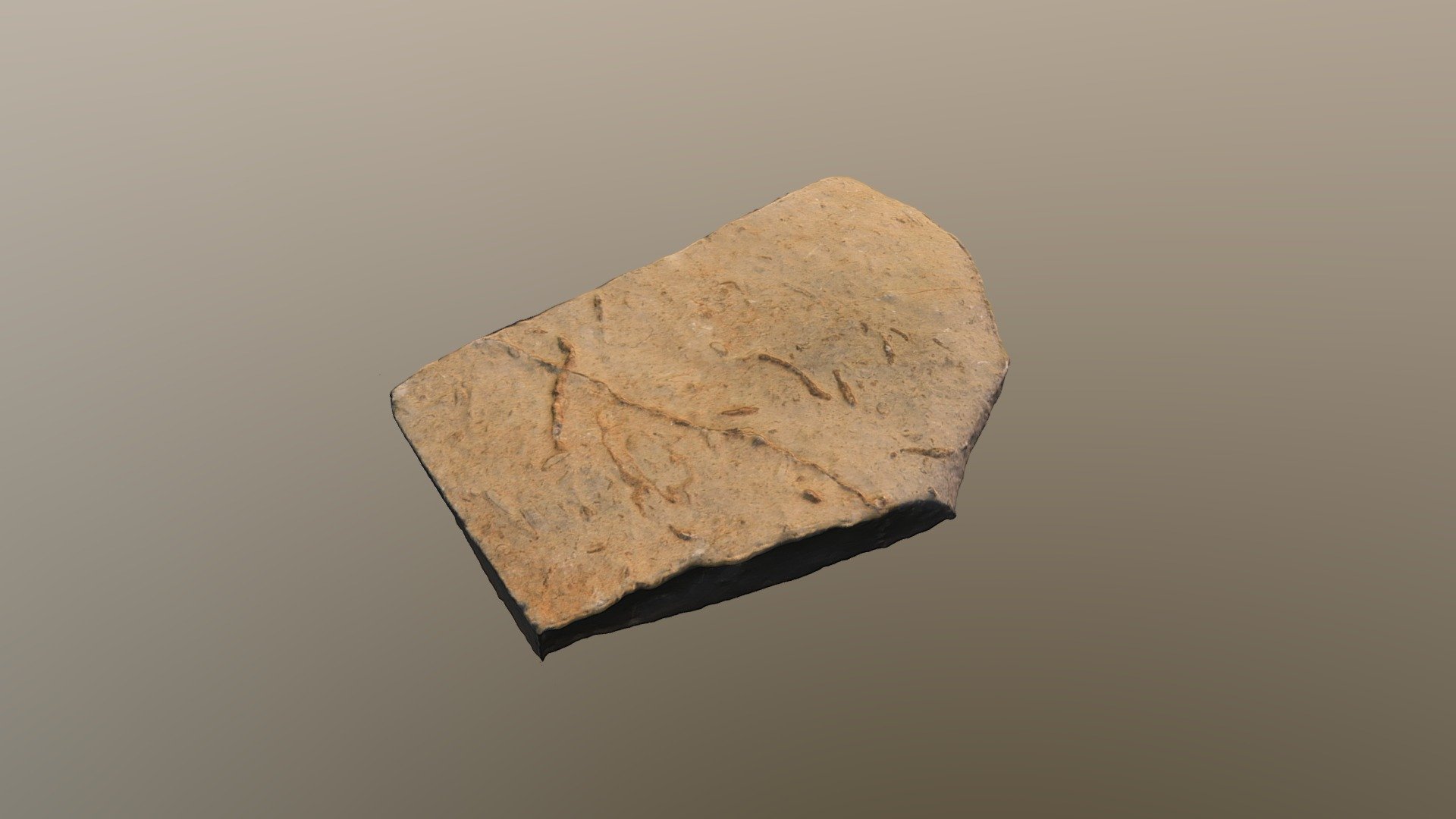 Cloudina lucianoi - 3D model by Laboratorio de Paleobiología ...
