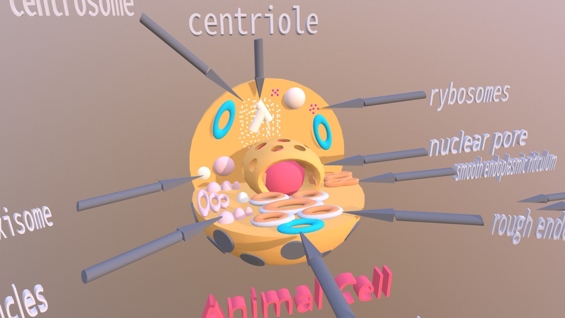Animal Cell - 3D model by Dr. Eddie's Class (@gonzalezedito) [ee64f5a ...