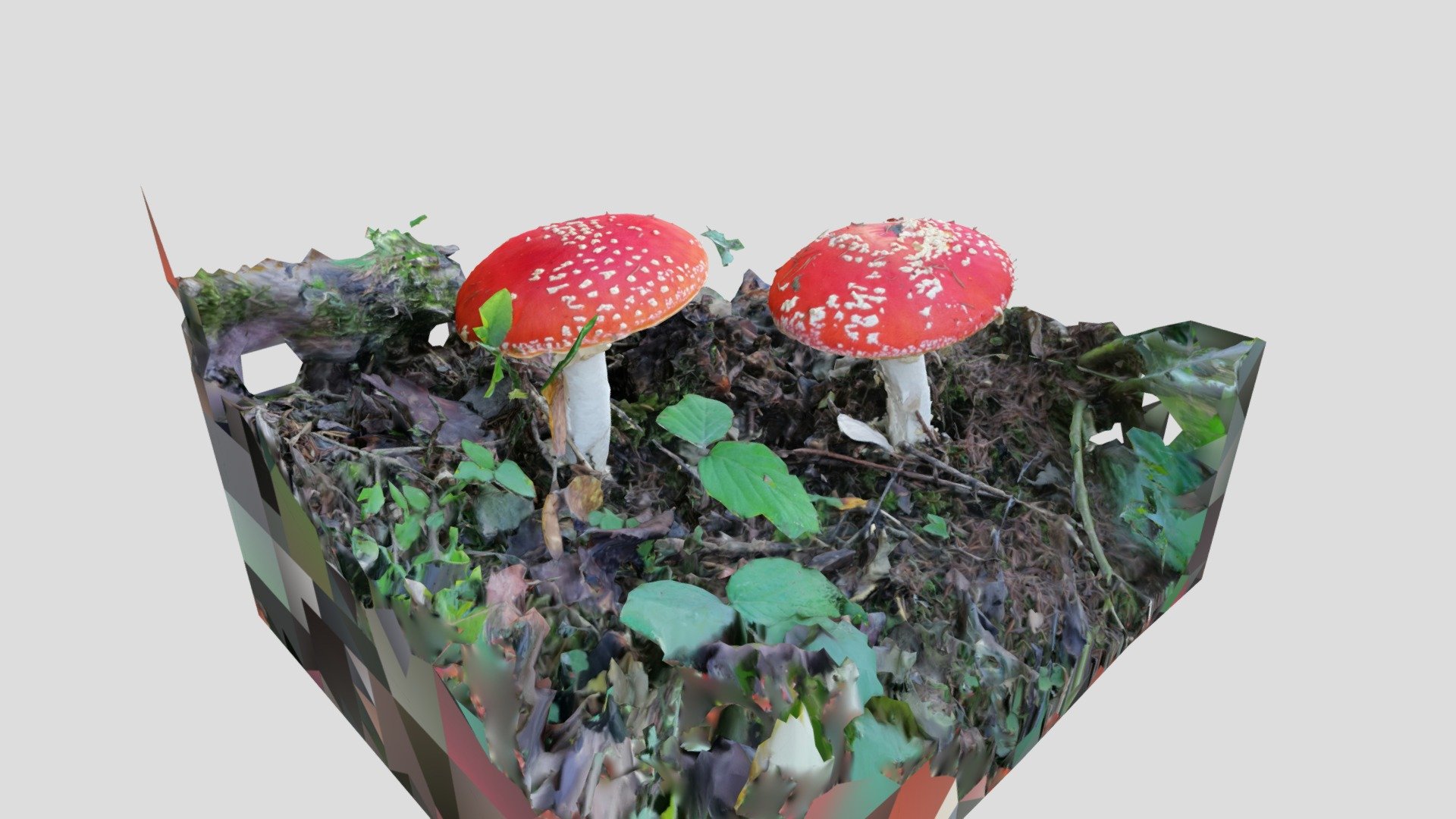 Toadstool - 3D model by Múzeum Historických Budov ...