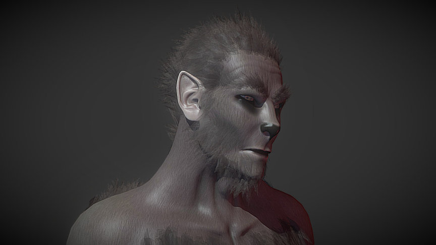 Werewolf - 3D model by Kyan0s (@kyan0s) [ee7b80a] - Sketchfab