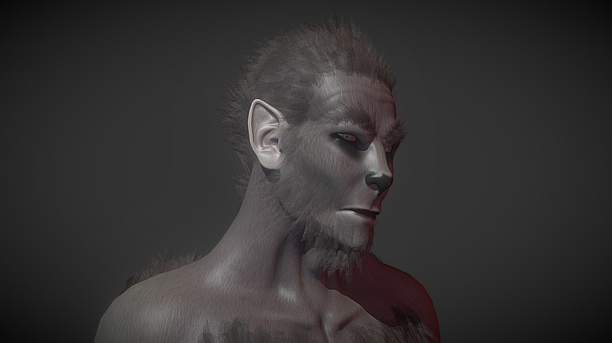 Werewolf - 3D model by Kyan0s [ee7b80a] - Sketchfab