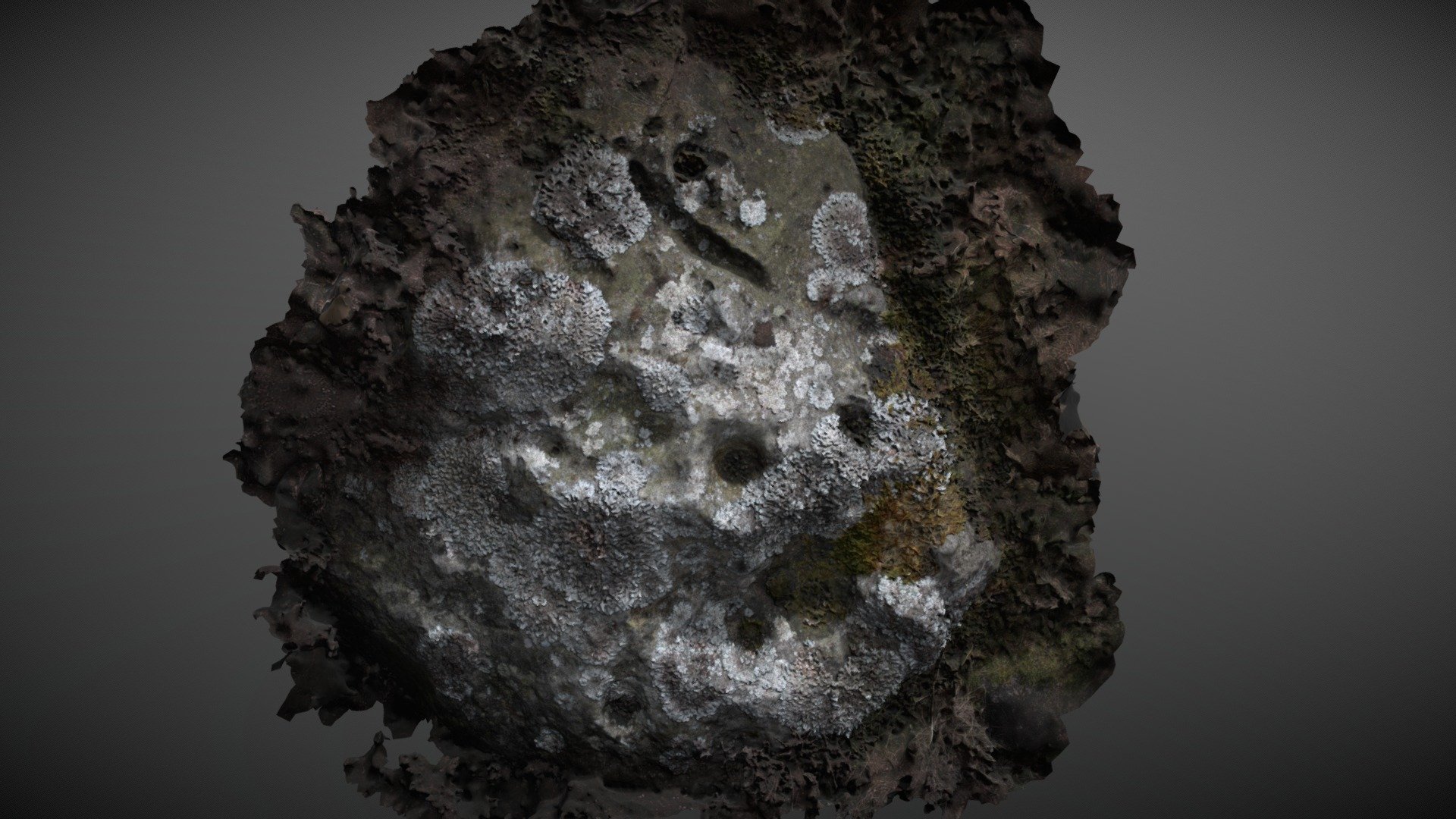 Gayles Moor FR 3f - Download Free 3D model by England's Rock Art ...