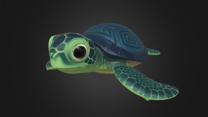 Turtle 3D models - Sketchfab
