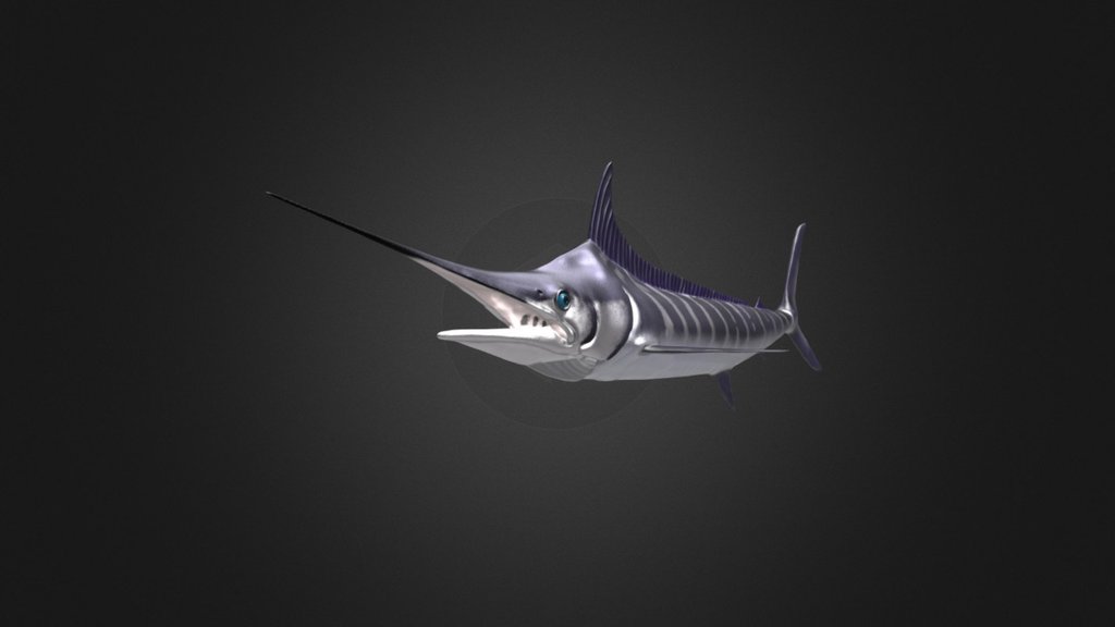 Marlin - 3D model by chasemt8 [ee85cbb] - Sketchfab