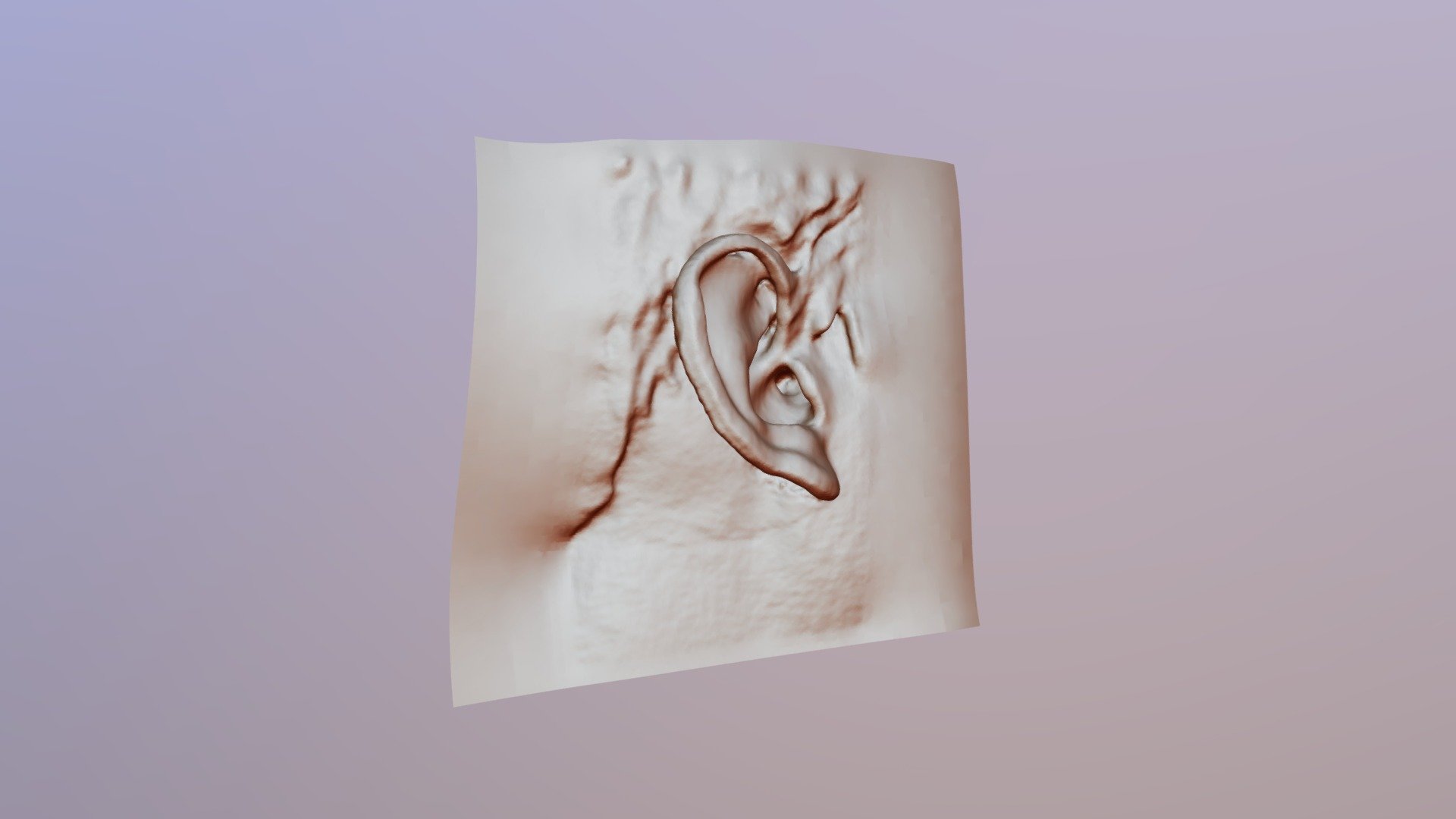 Ear scan - Download Free 3D model by elaughli [ee8d64e] - Sketchfab